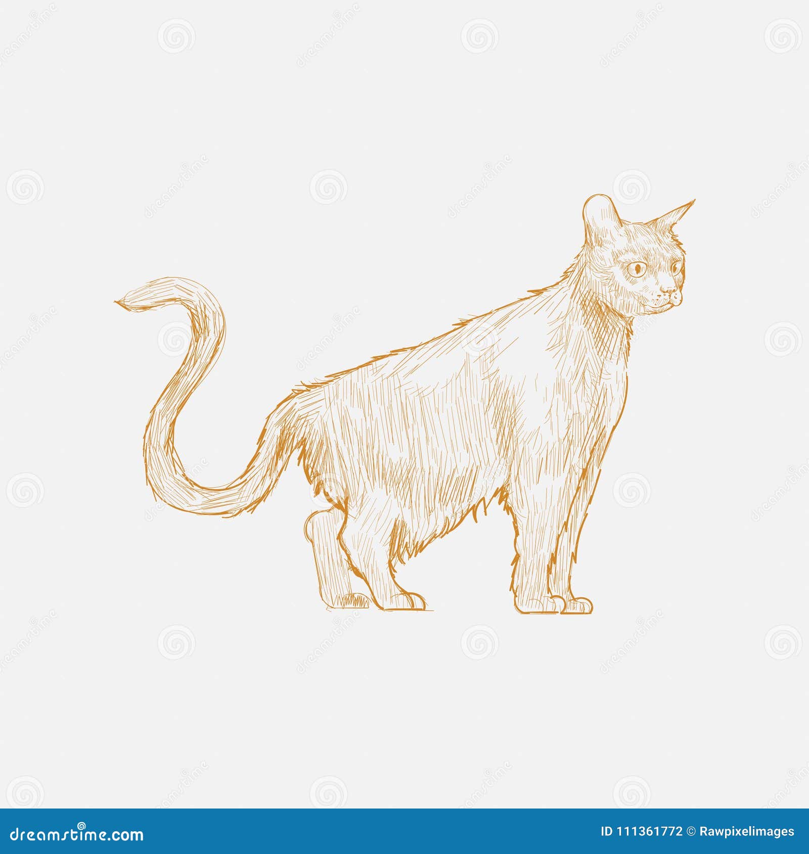 Illustration Line Art Drawing Style of Cat Stock Illustration ...