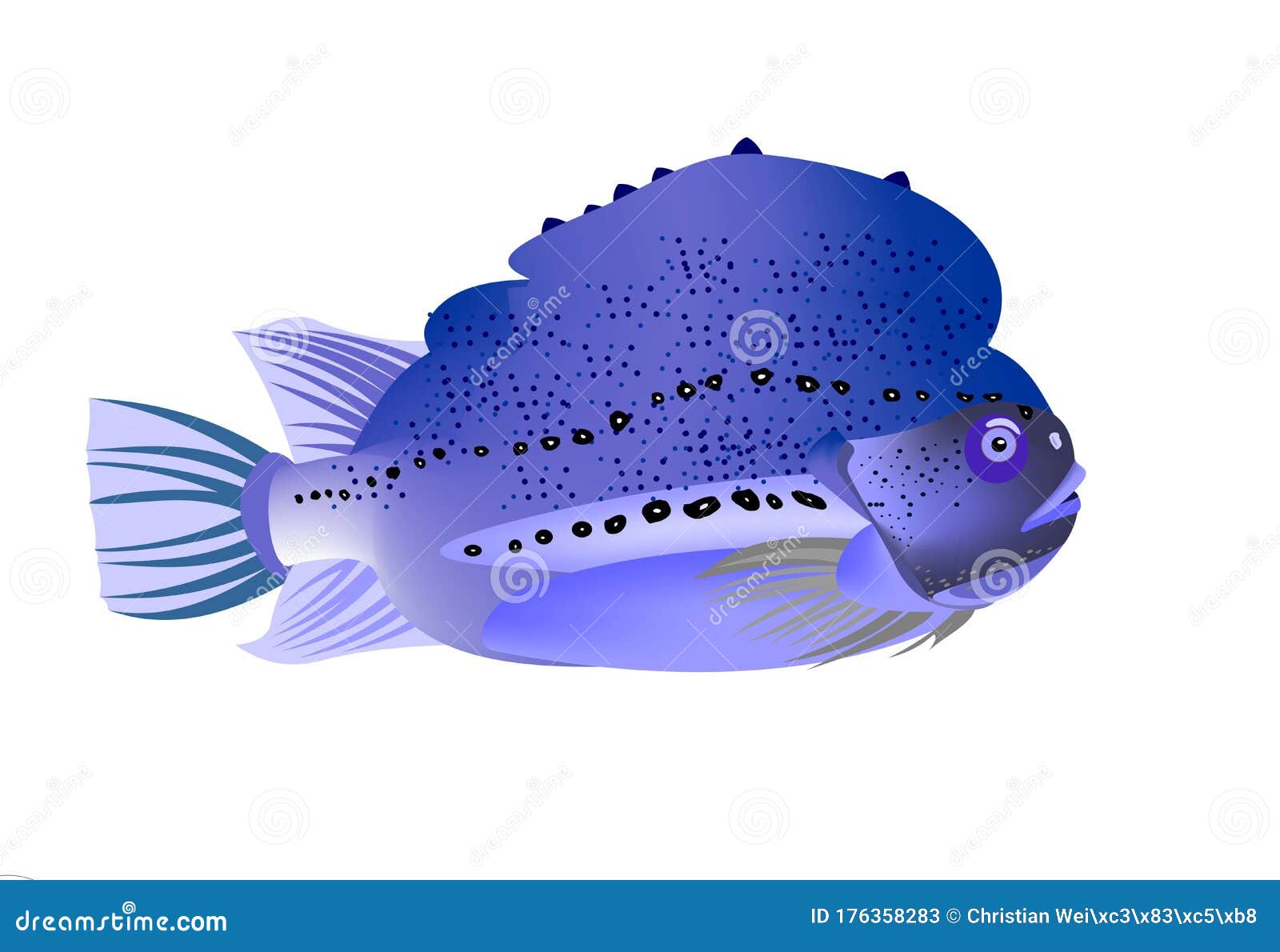 Lumpsucker Or Lumpfish In Side View Cartoon Vector | CartoonDealer.com ...