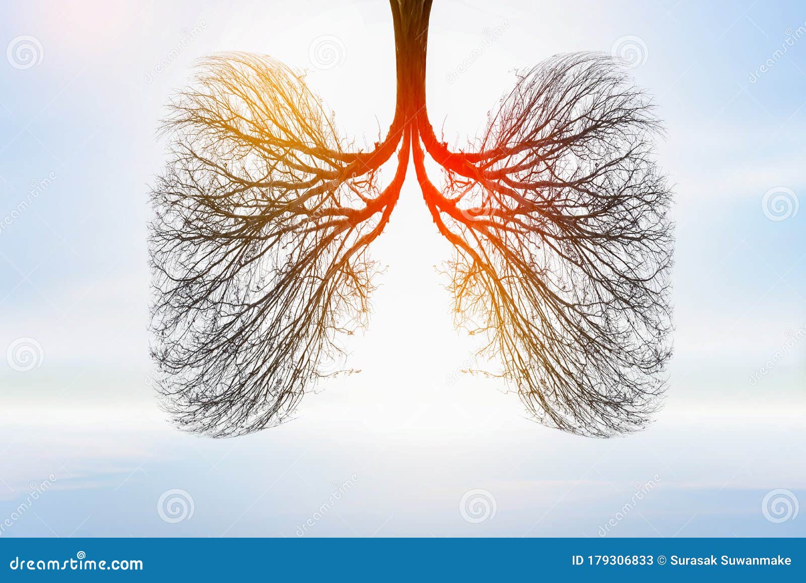 Illustration of Lung Tree Environment and Medicine Stock Illustration ...