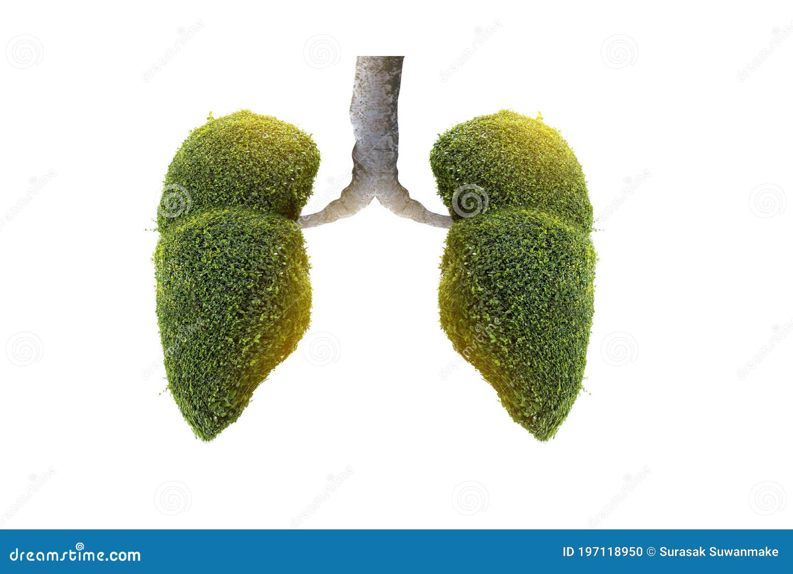 Illustration of Lung Tree Environment and Medicine Stock Photo - Image ...