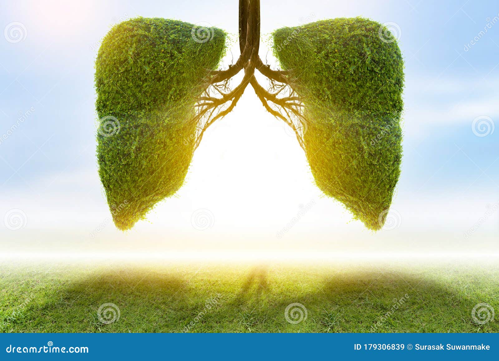 Illustration of Lung Tree Environment and Medicine Stock Illustration ...