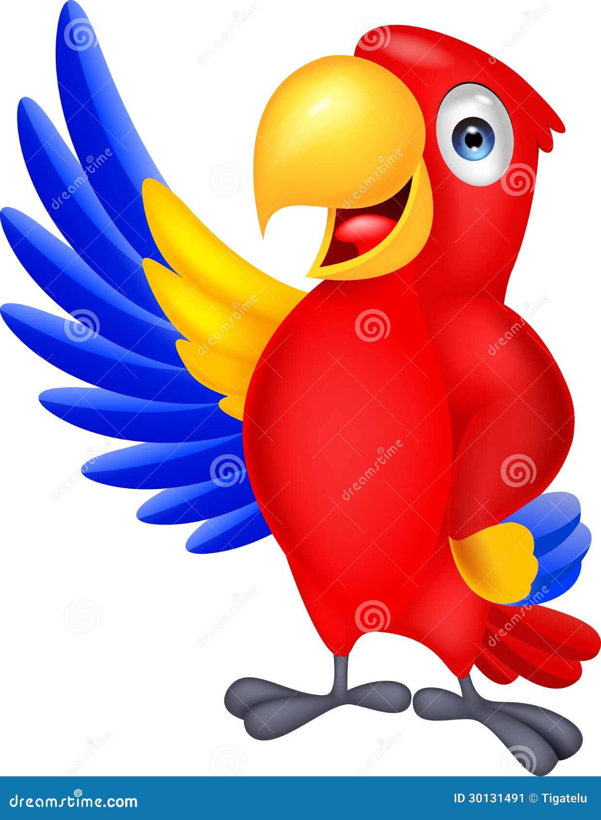 Cartoon Macaw