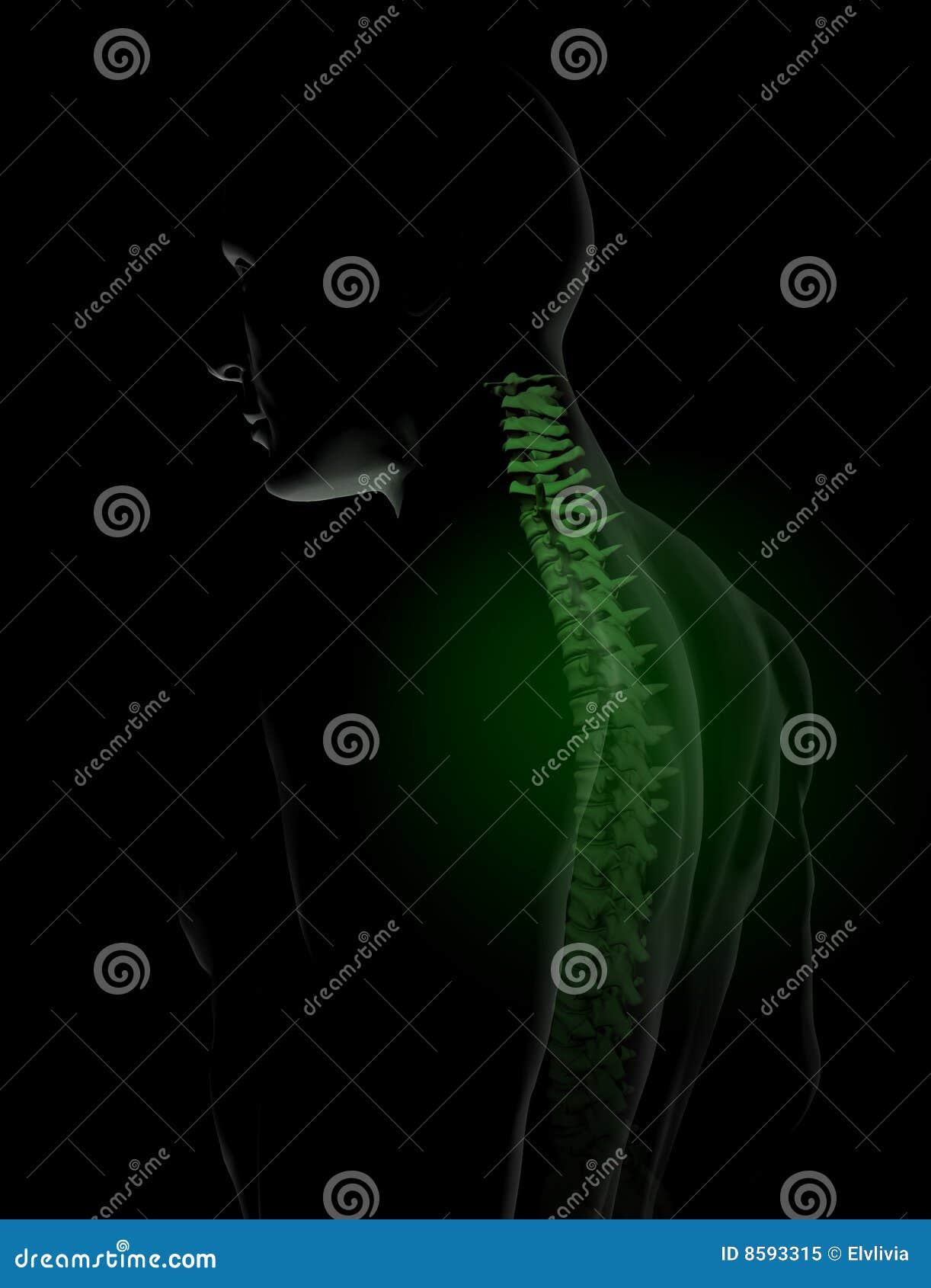 Illustration of Man and Back Bone Stock Illustration - Illustration of ...