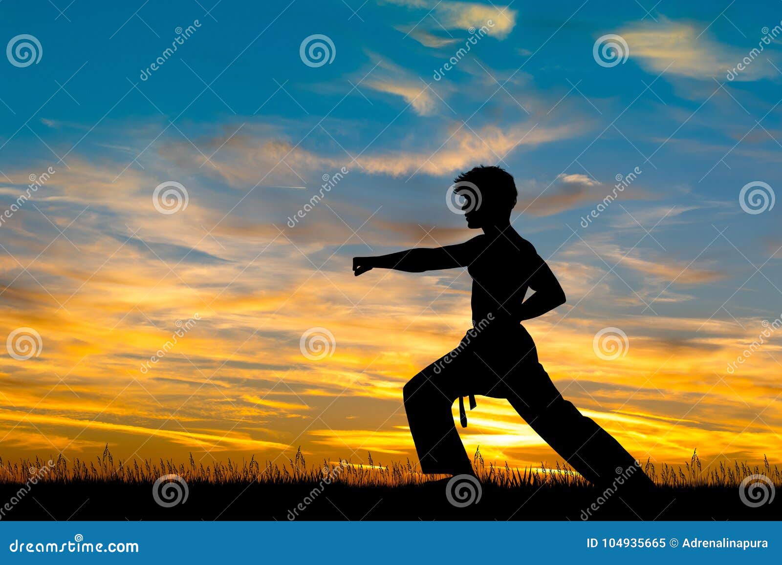 Karate at sunset stock illustration. Illustration of traditional ...