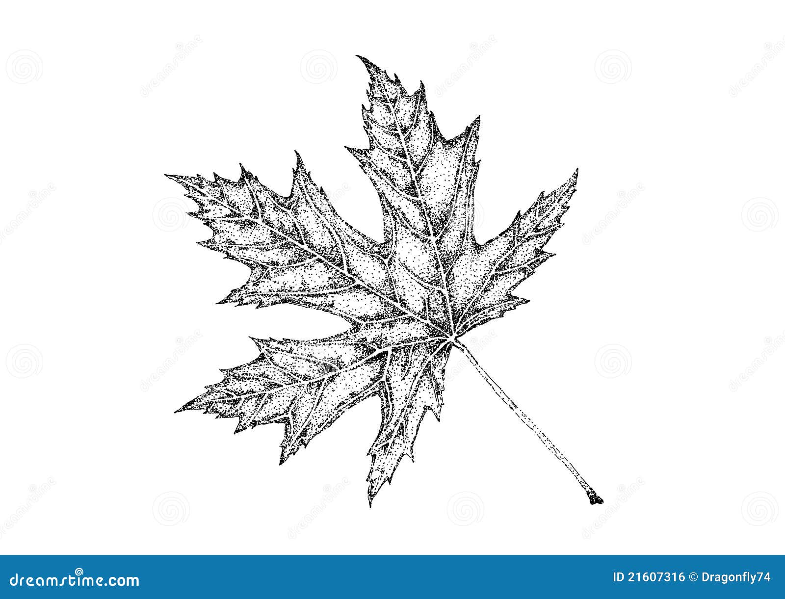 Illustration of maple leaf stock illustration. Illustration of leaves ...