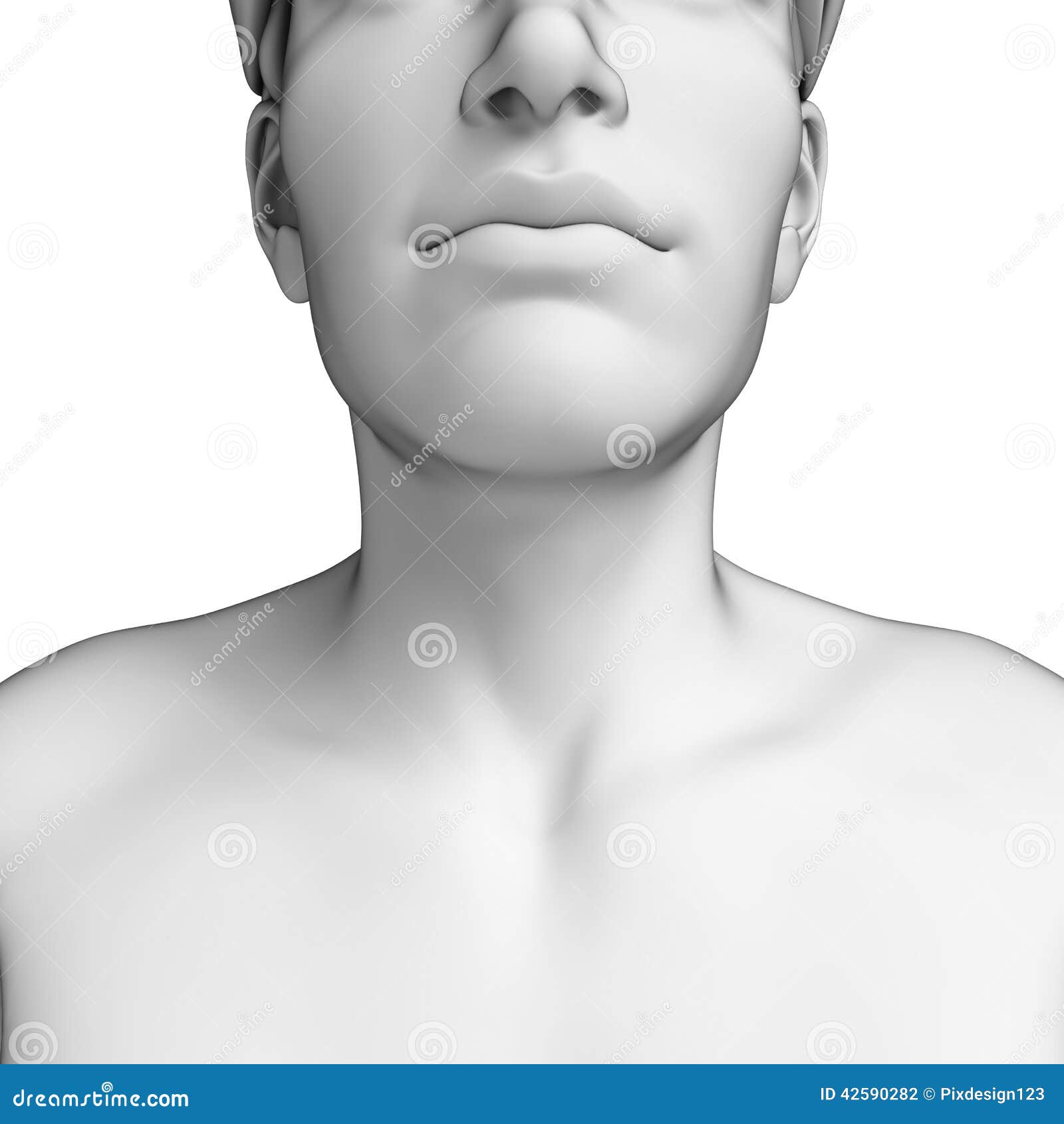 Illustration Masculine D'anatomie De Cou Illustration Stock ...