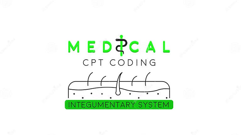 Medical CPT Coding for the Integumentary System Stock Illustration ...