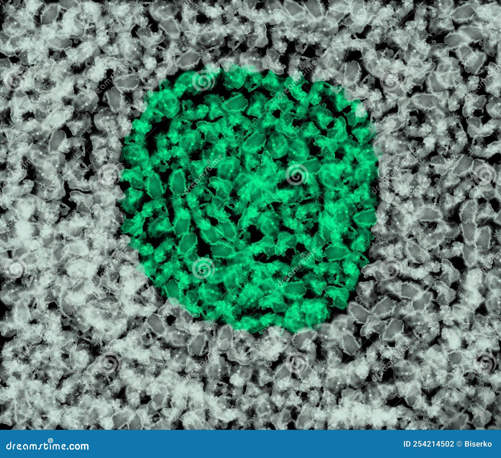 Illustration of the Microscope Picture Stock Illustration ...