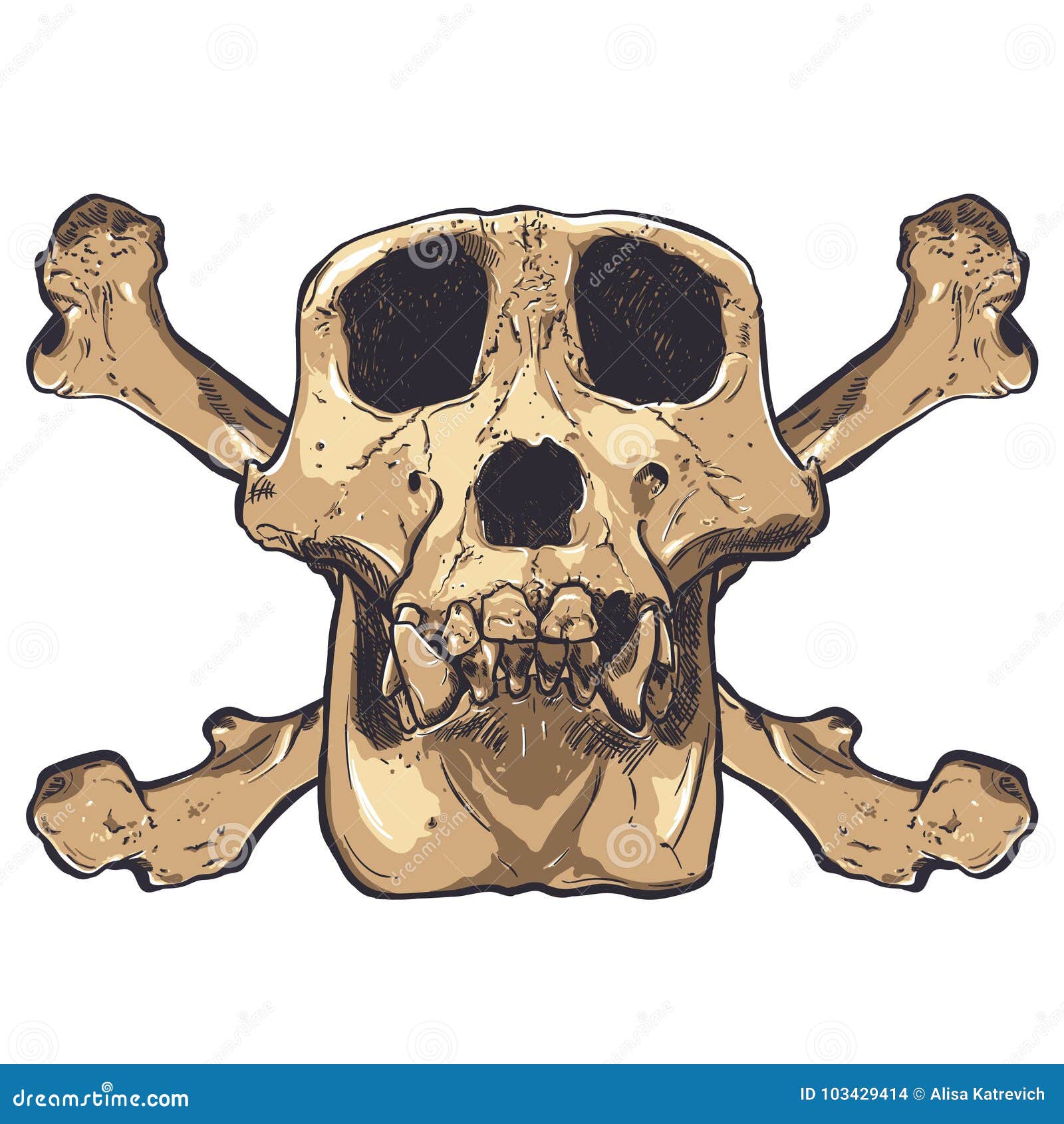 Illustration of a Monkey Skull on Background. Vector. Stock Vector ...