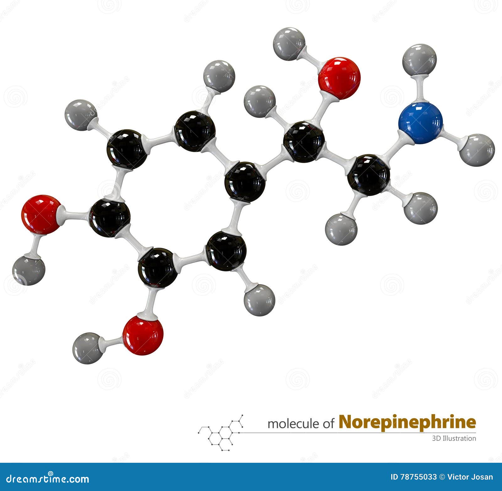 Illustration of Norepinephrine Molecule Isolated White Backgroun Stock ...