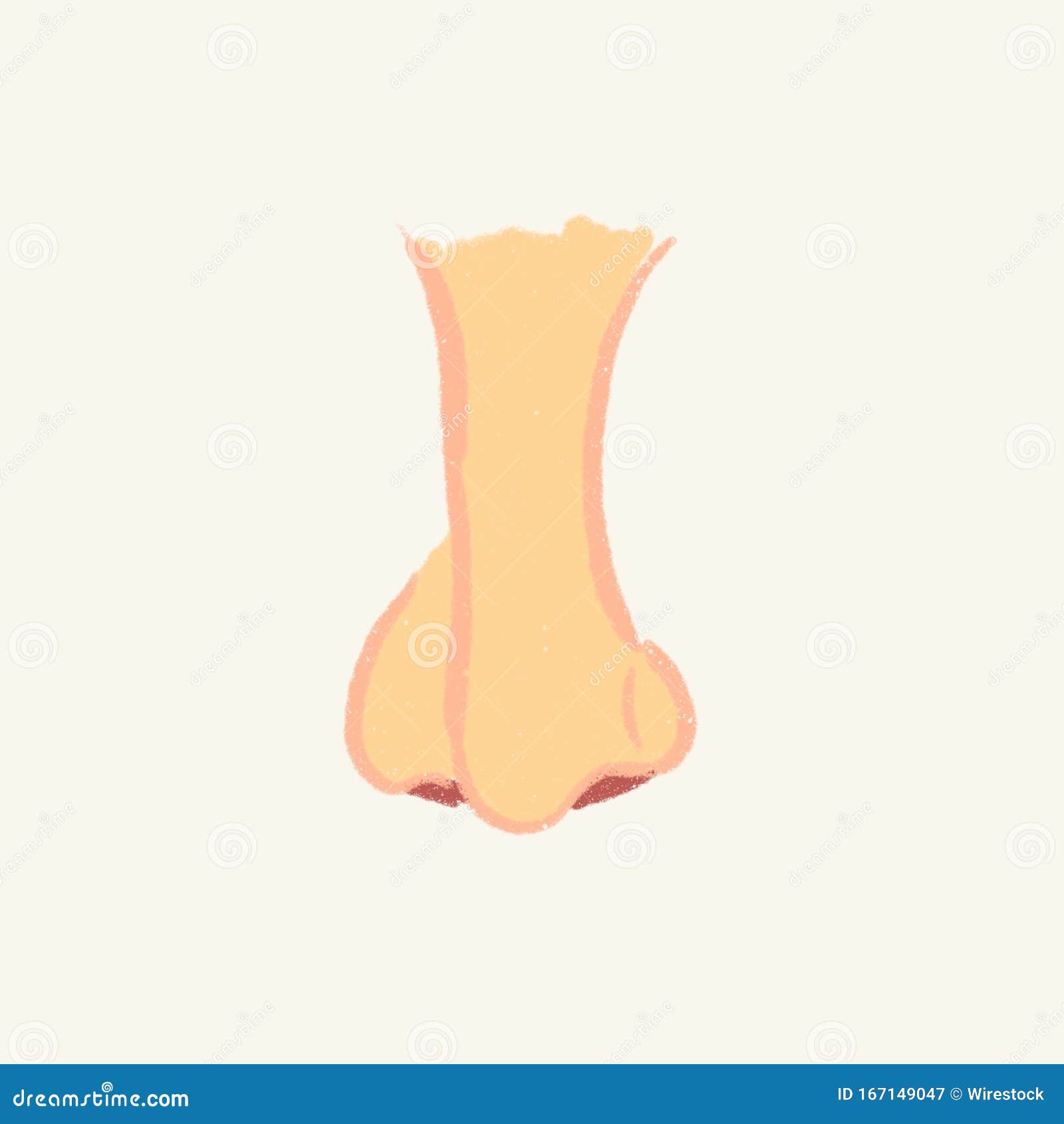 Illustration of a Nose Against a White Background - a Nice Picture for ...