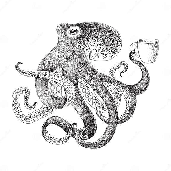 Illustration of Octopus Holding a Coffee Cup Stock Vector ...