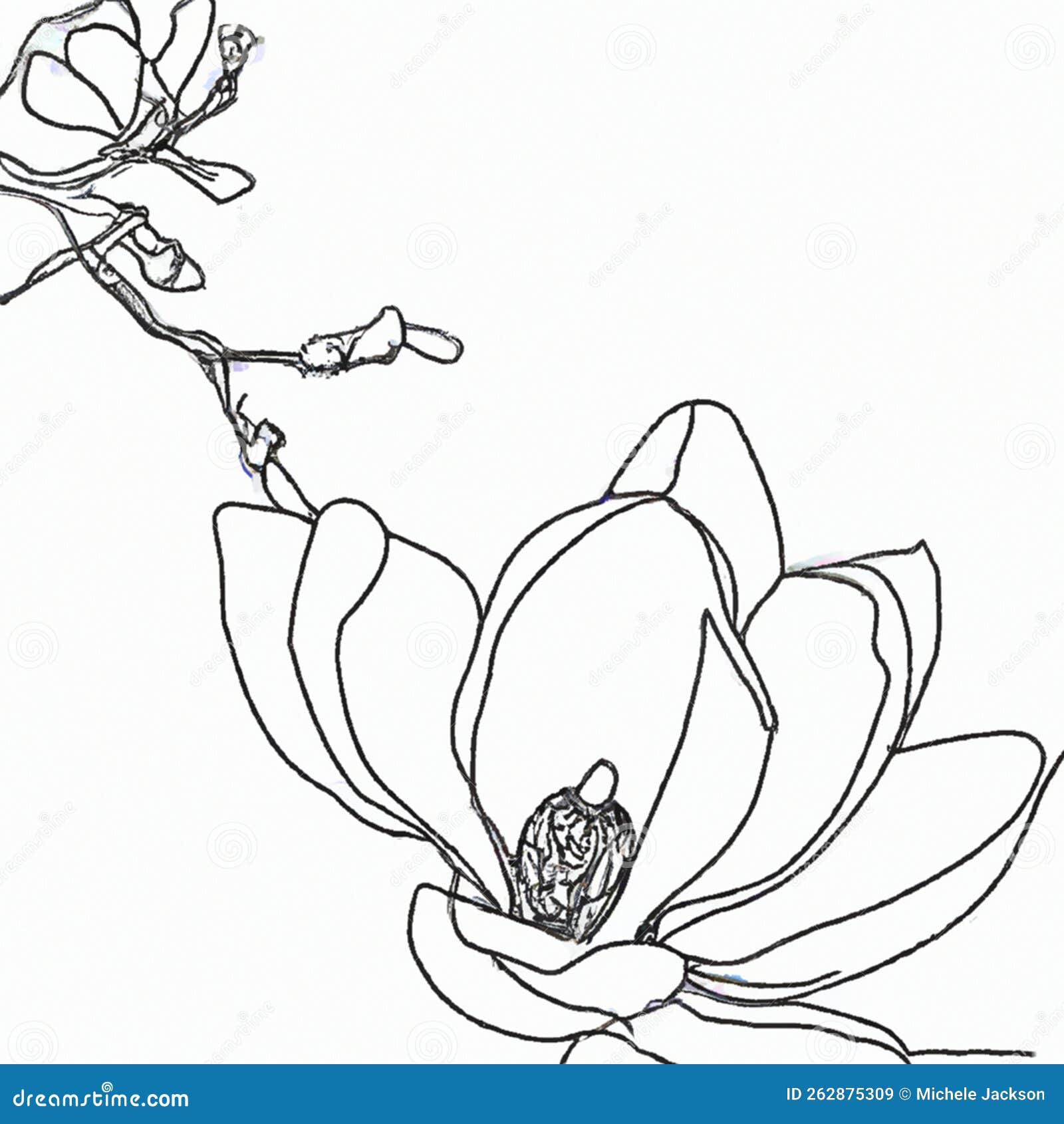 Doodle Drawing Illustrative Sketch of a Flower on a White Background ...