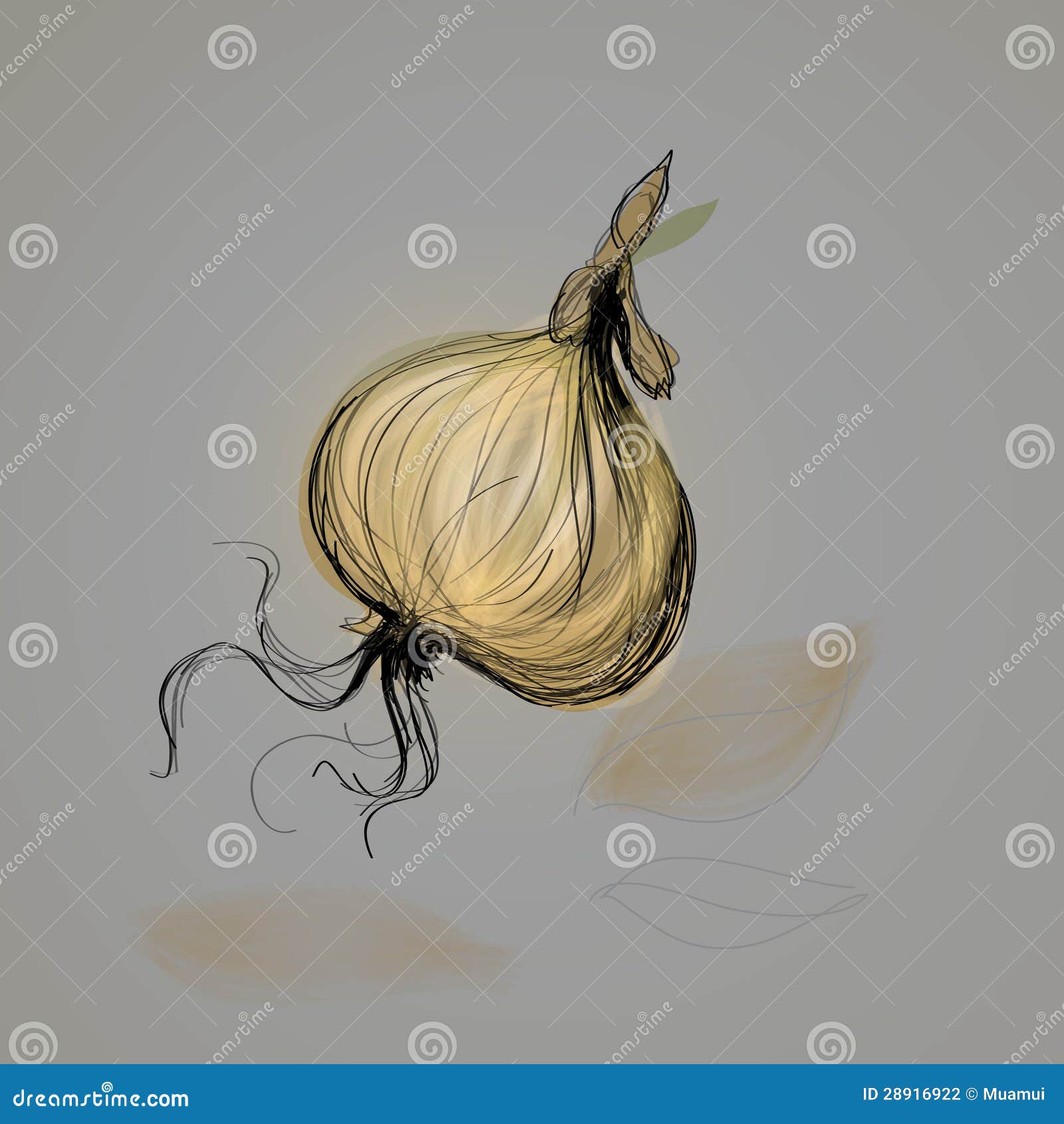 Illustration of Onion stock vector. Illustration of hand - 28916922