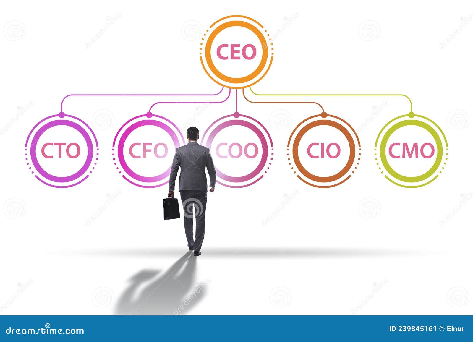 Illustration of Organisation Chart with Various Executives Stock ...