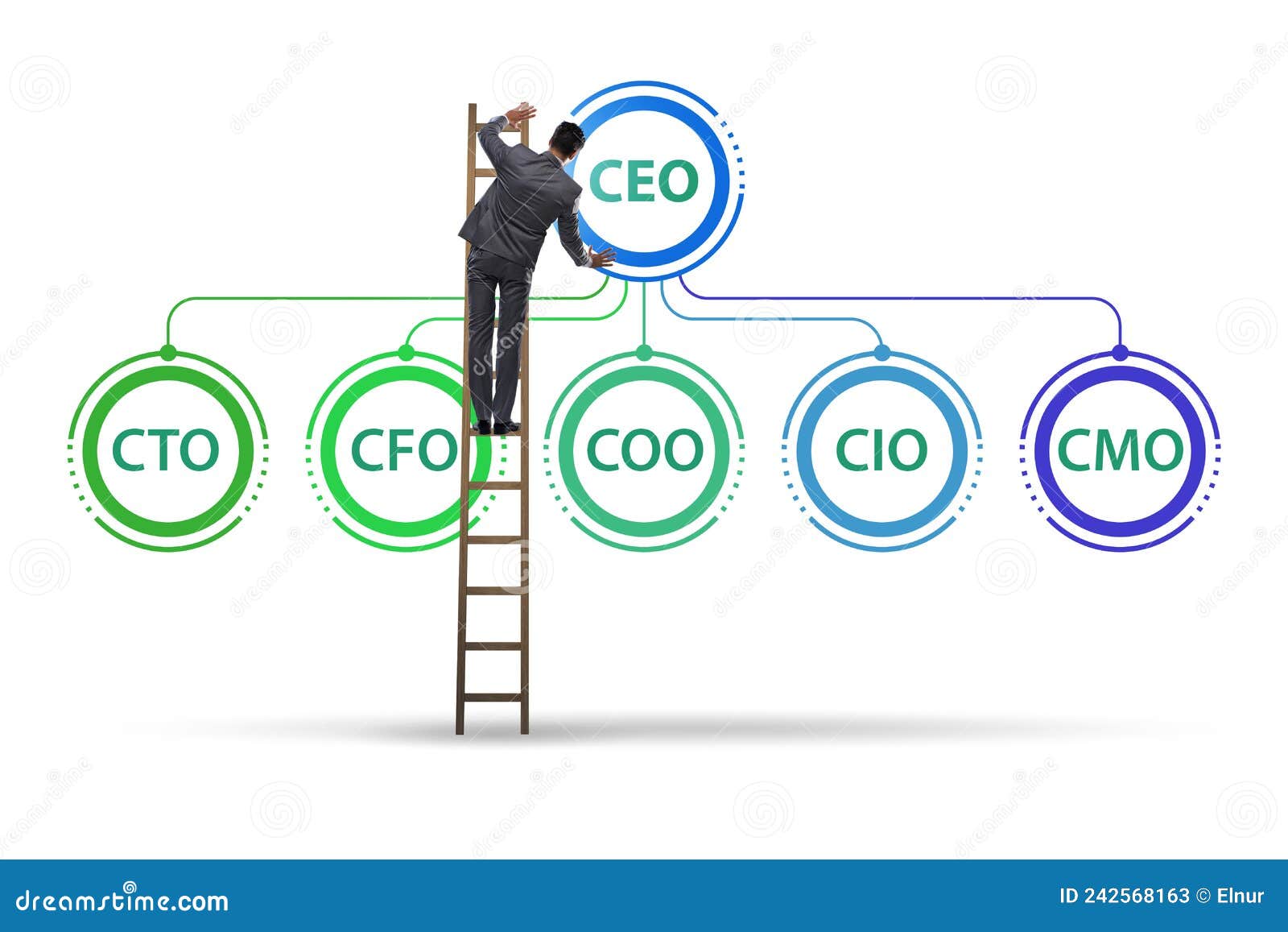 Illustration of Organisation Chart with Various Executives Stock Image ...