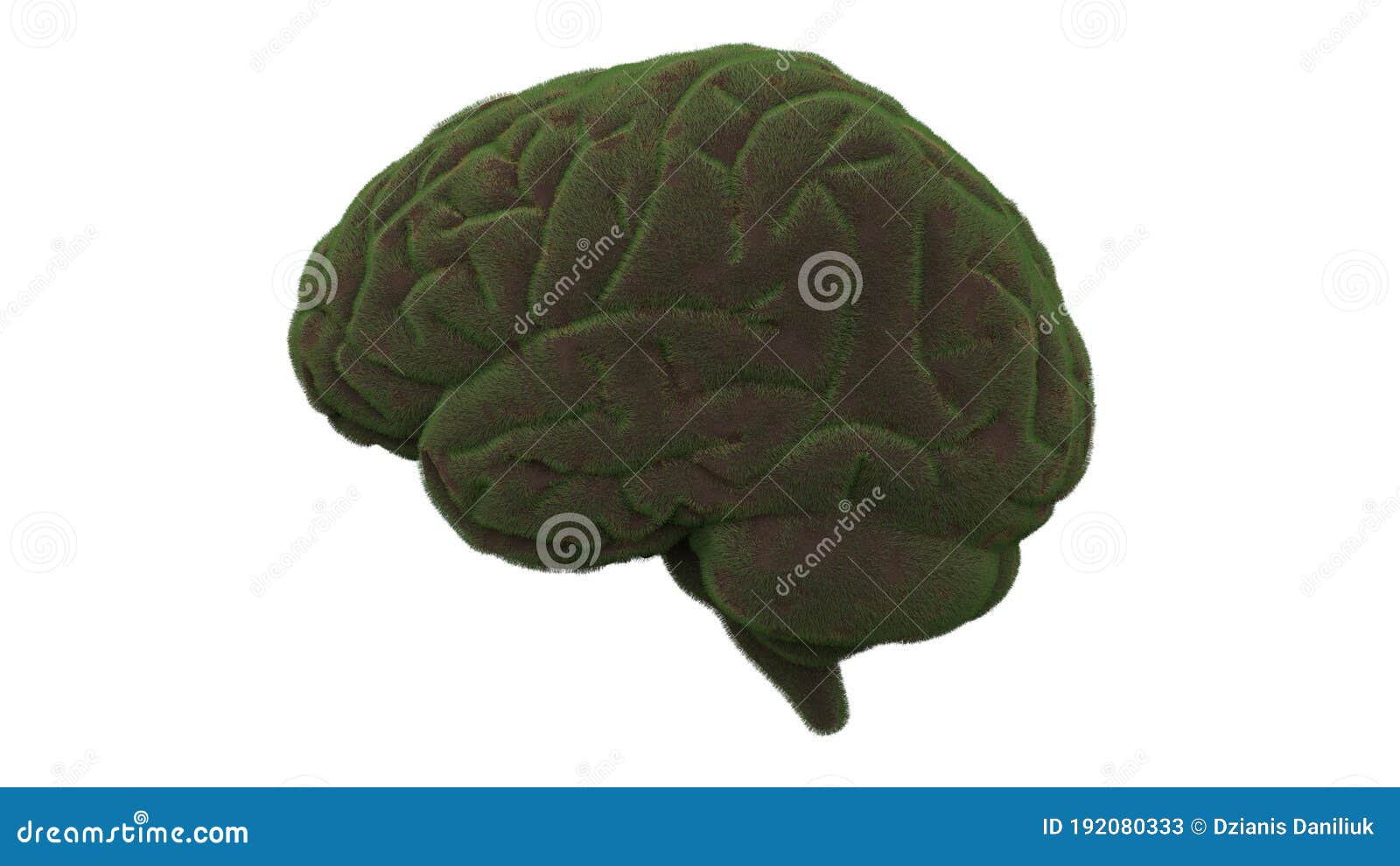 Brain Overgrown Mind Illustration 3d Render Stock Illustration ...