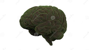 Brain Overgrown Mind Illustration 3d Render Stock Illustration ...