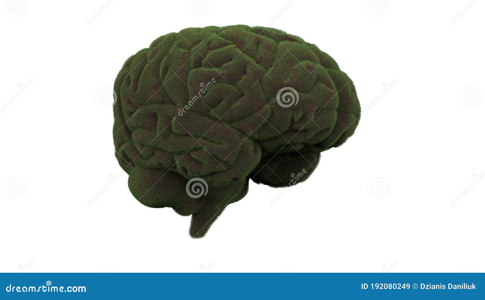 Brain Overgrown Mind Illustration 3d Render Stock Illustration ...
