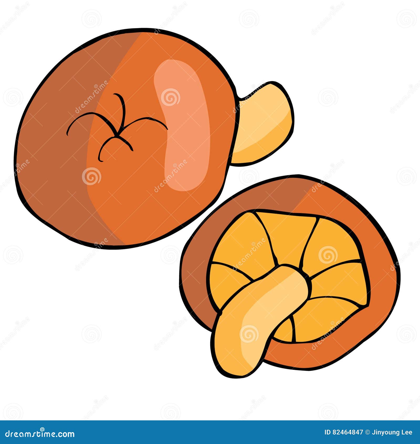 Illustration and Painting stock illustration. Illustration of cepe ...