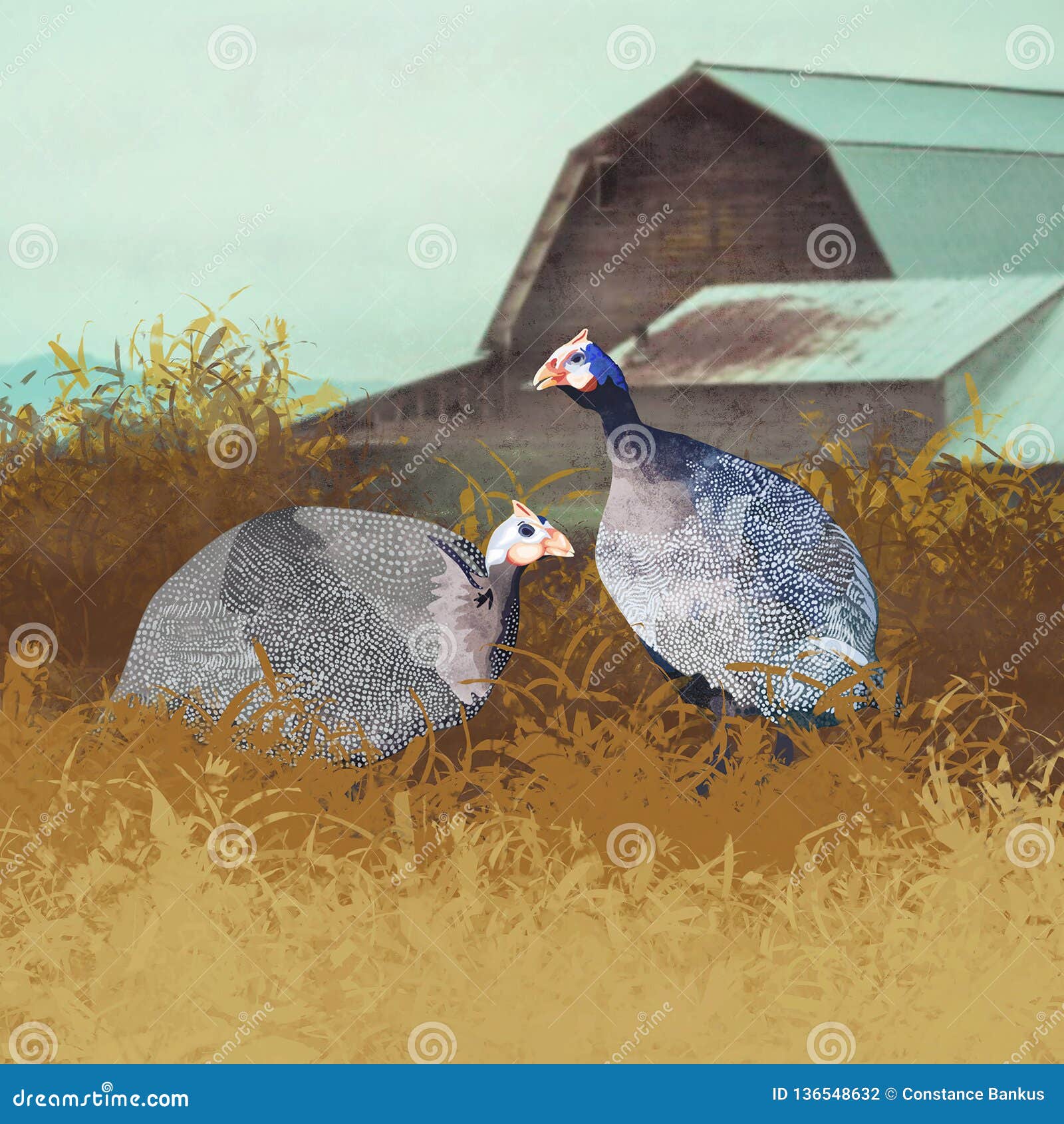 Guinea Hens on the Farm stock illustration. Illustration of wheat ...