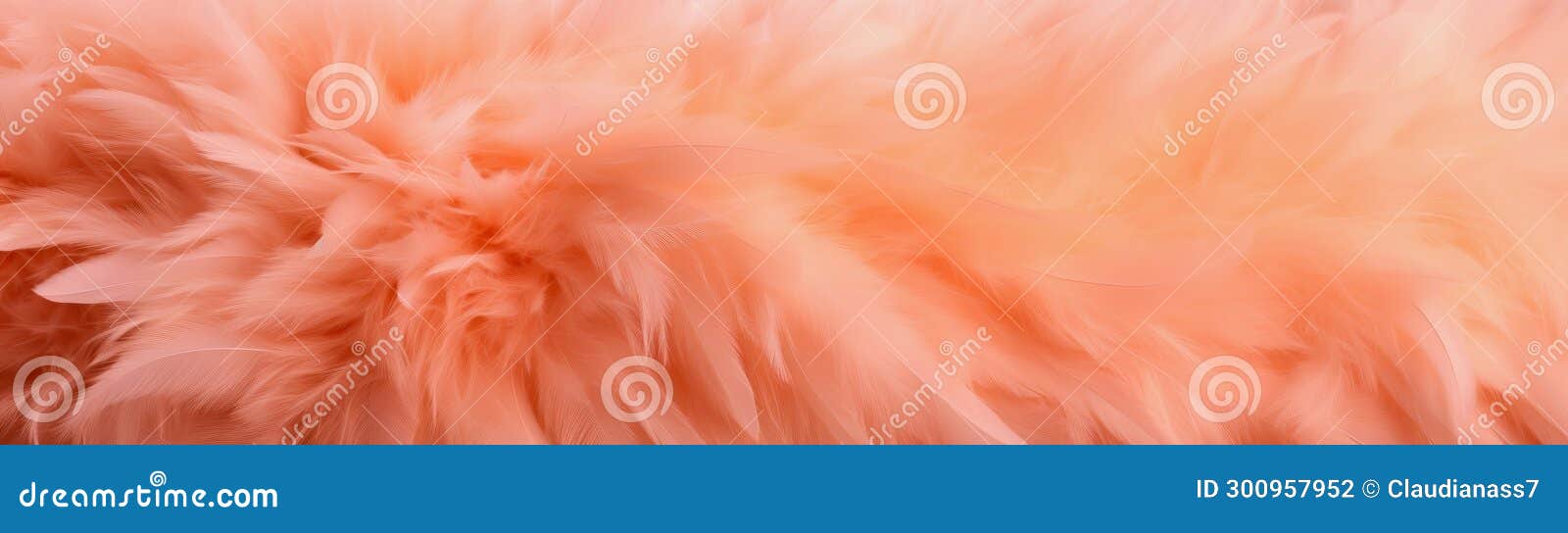 Illustration of a Peach Colored Feather Background in Banner Size Stock ...
