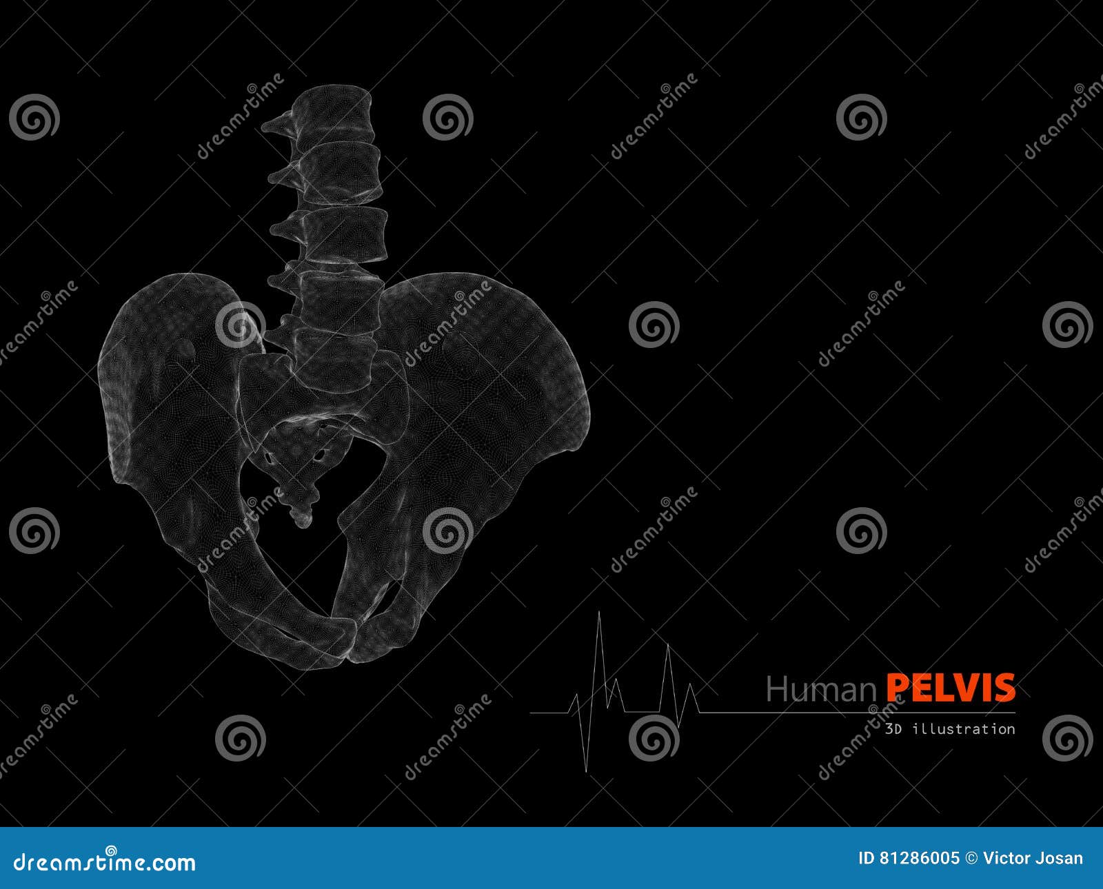 Illustration of Pelvis Abstract Scientific Background Stock ...