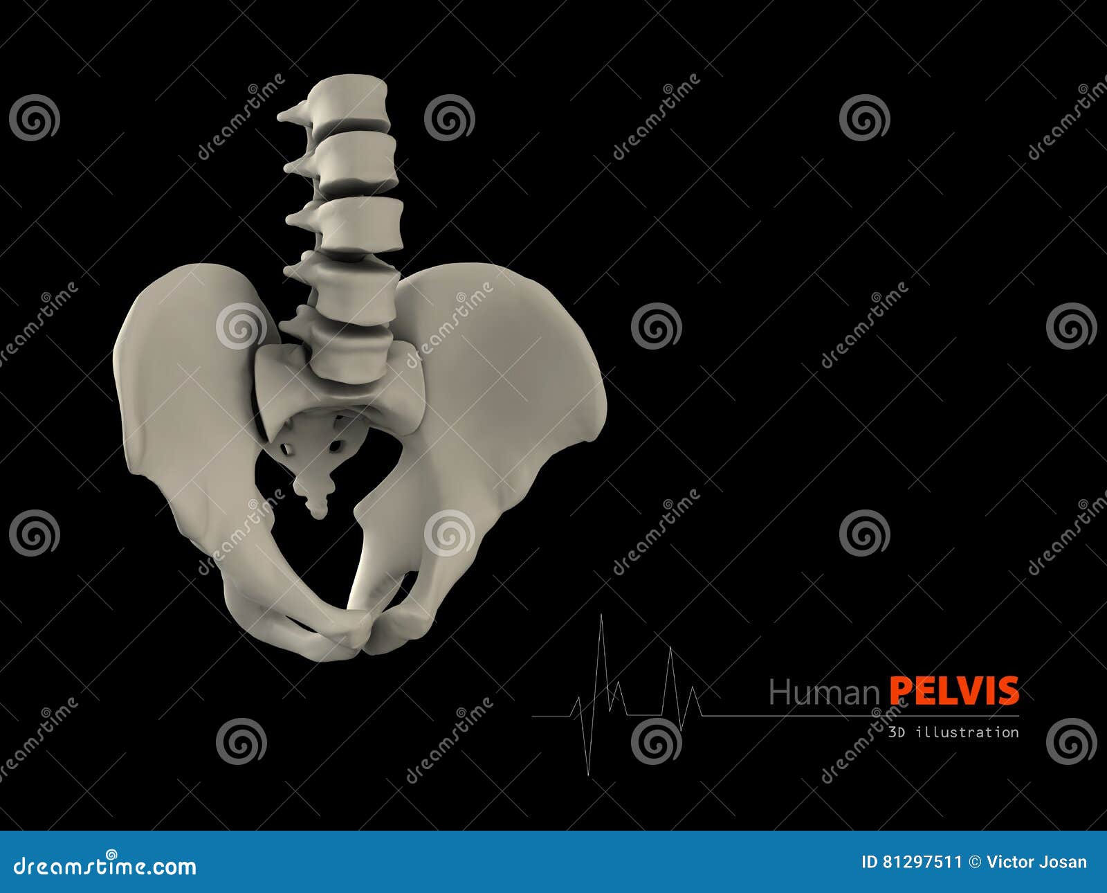 Illustration of Pelvis Abstract Scientific Background Stock ...