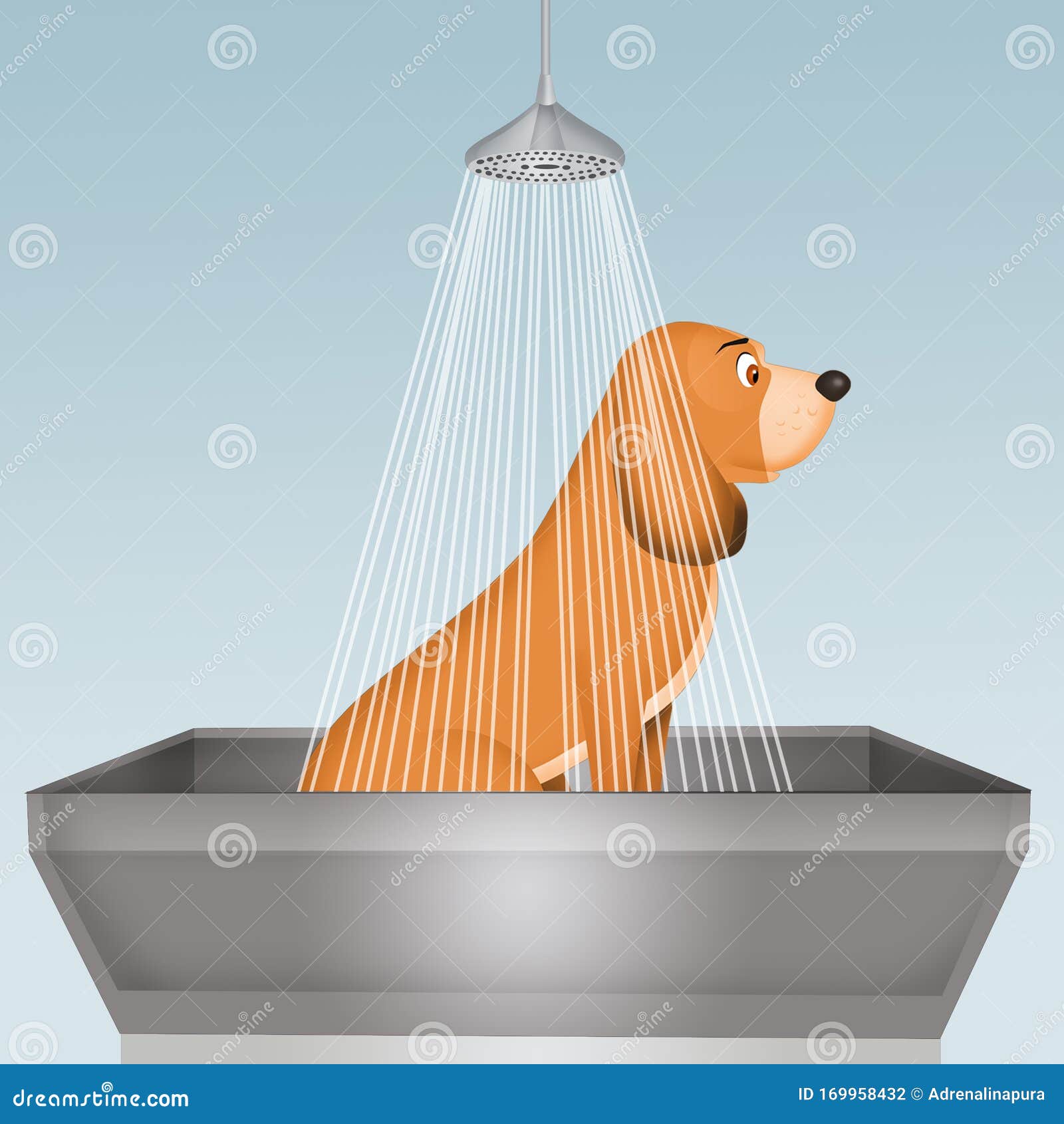 Illustration of Pet Grooming Stock Illustration - Illustration of bath ...