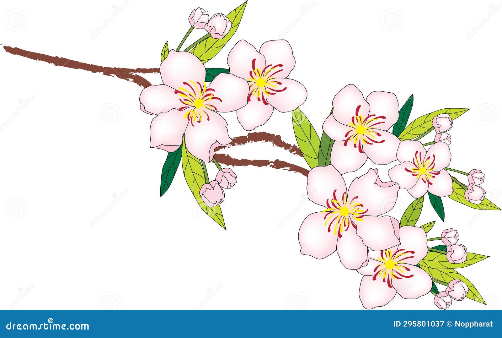 Illustration of Pink Flower with Leaf on Empty Background Stock ...
