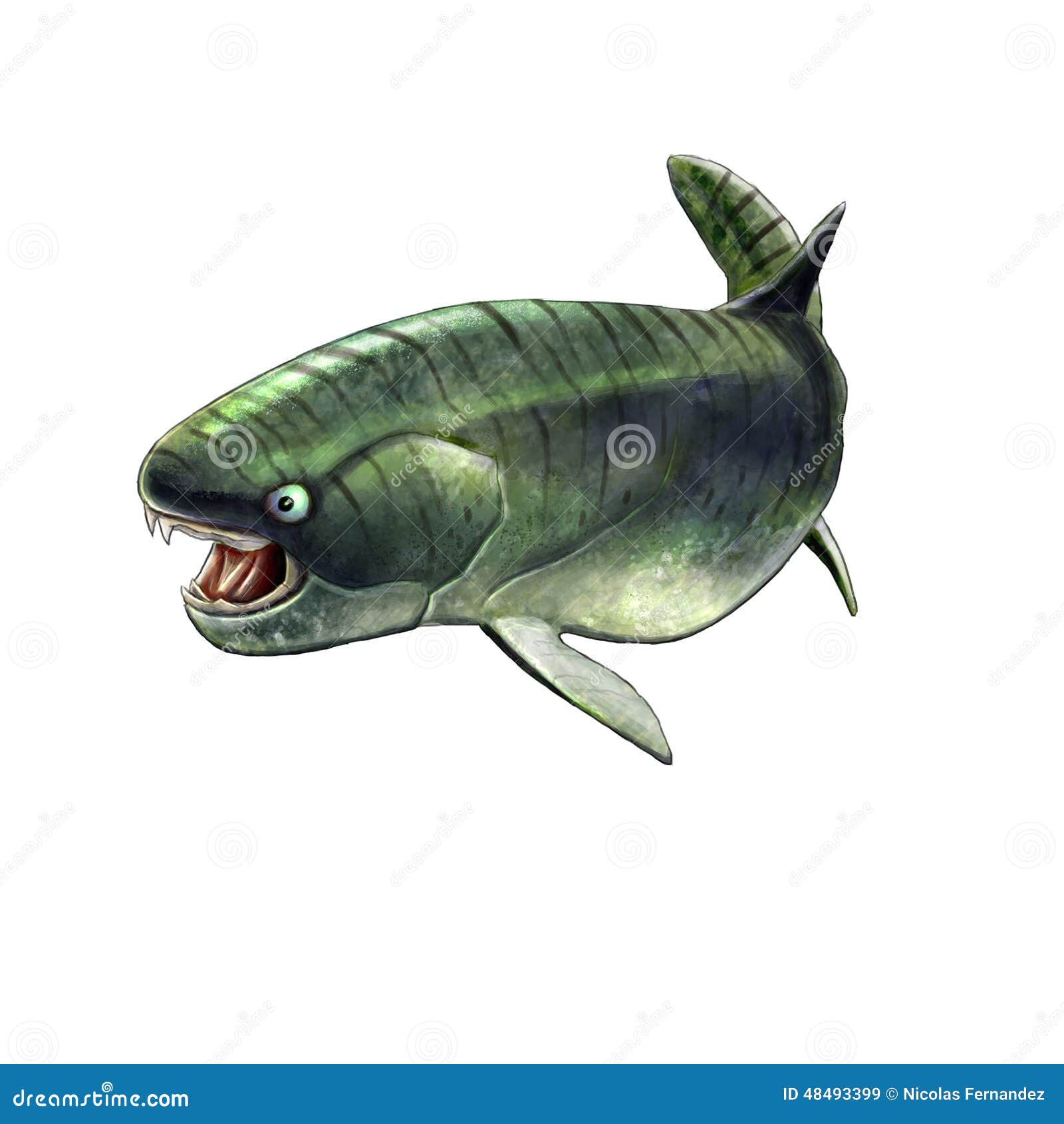 Illustration of a Placoderm Dukleosteus Stock Illustration ...