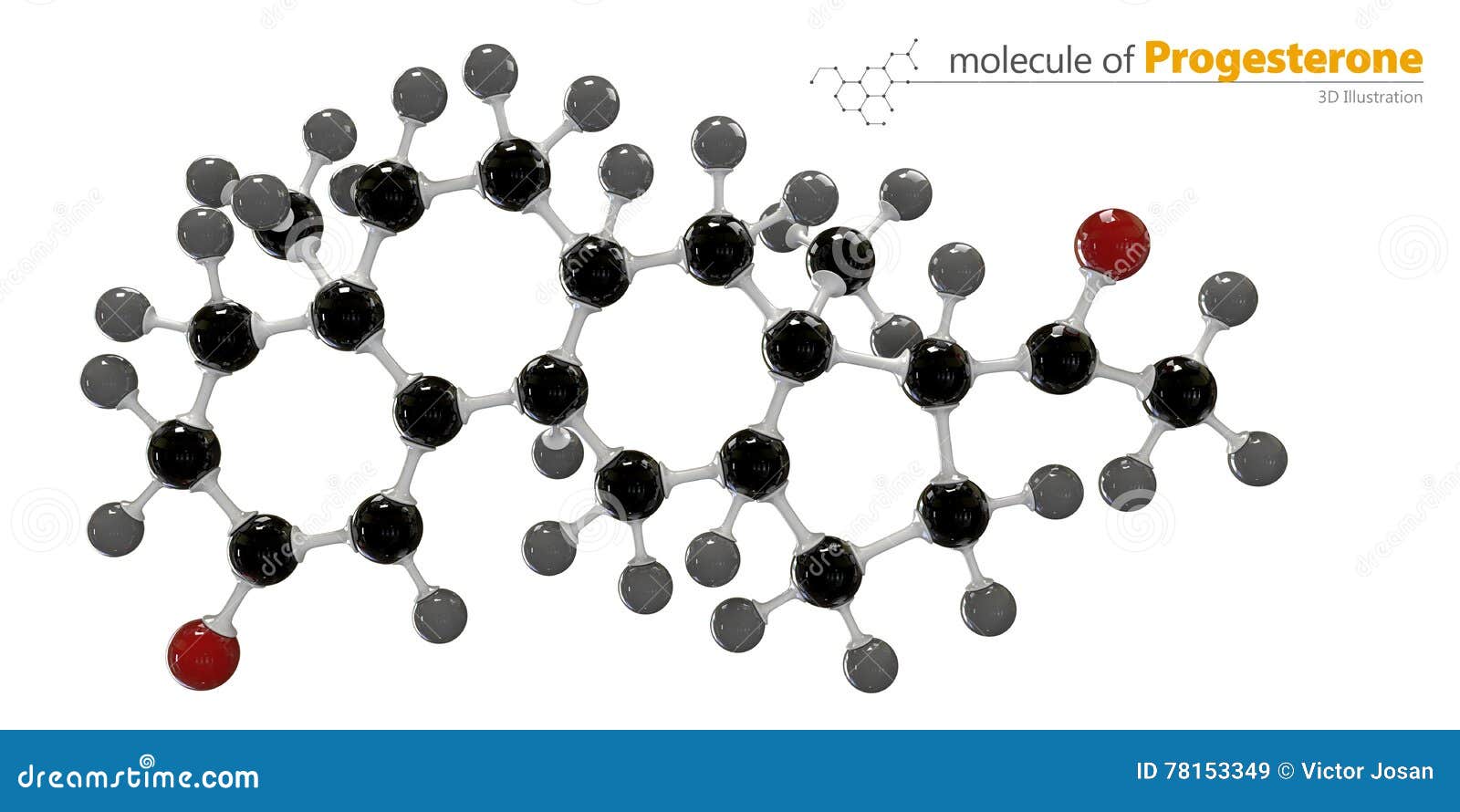 Progesterone Molecule Structure. Stock Illustration | CartoonDealer.com ...