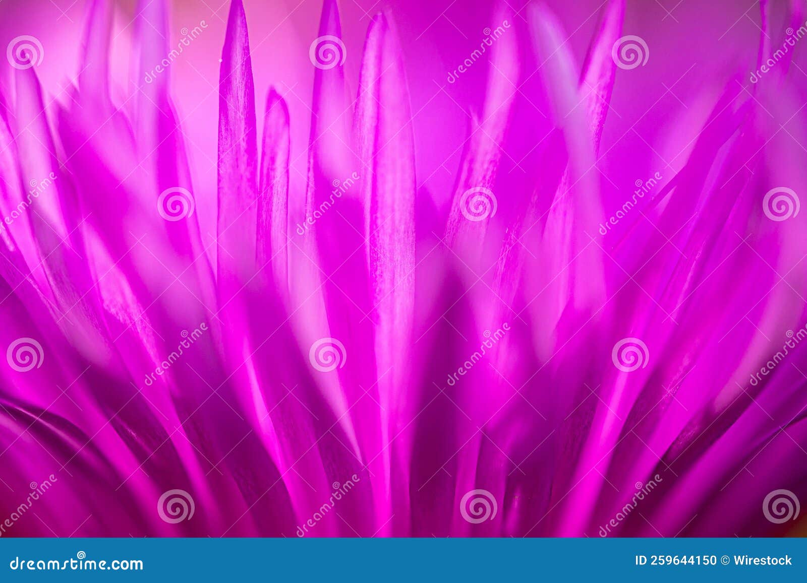 Illustration of a Purple Background of Abstract Leaves Stock ...
