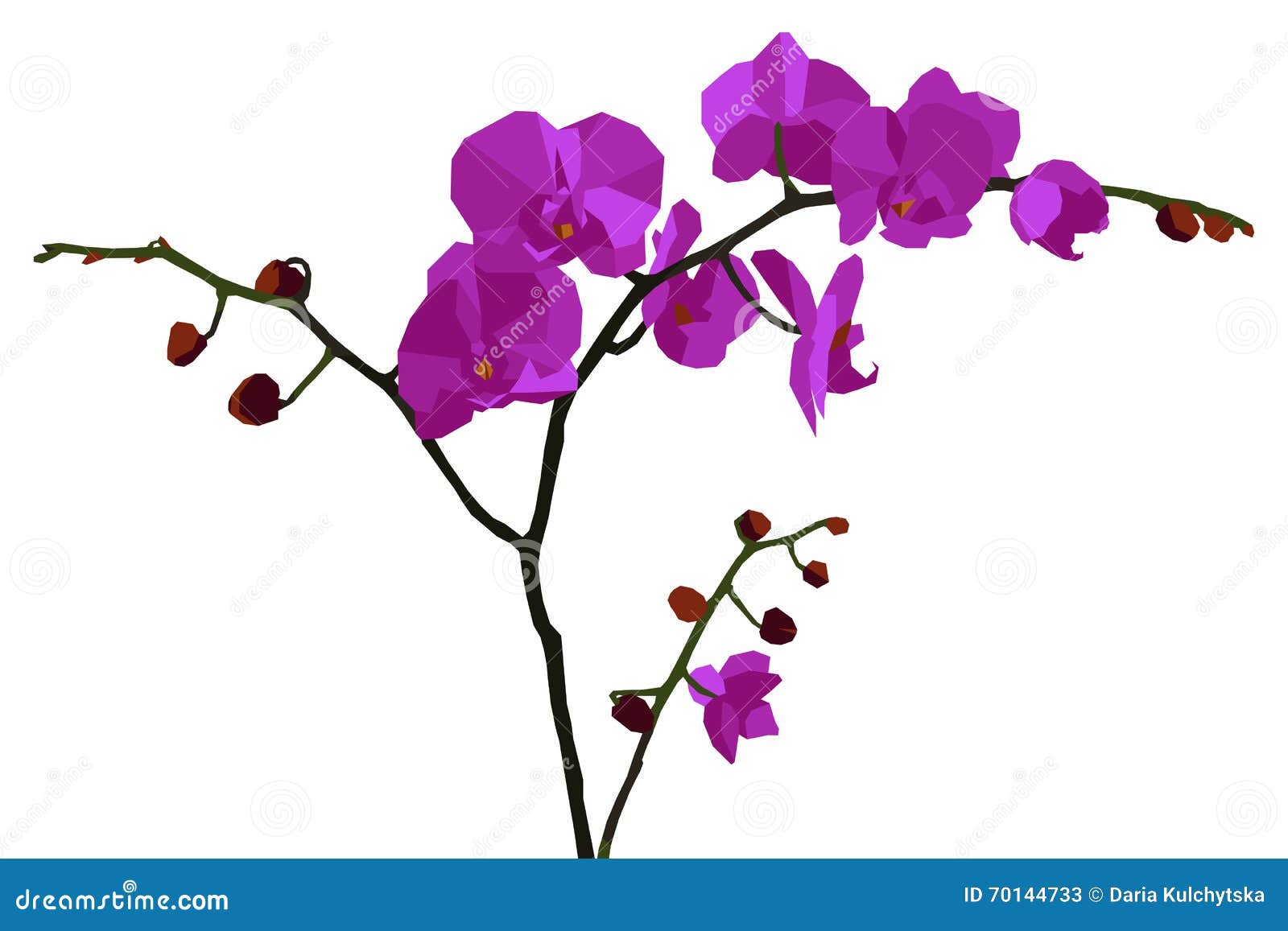 Illustration with Purple Orchid. Stock Vector - Illustration of exotic ...