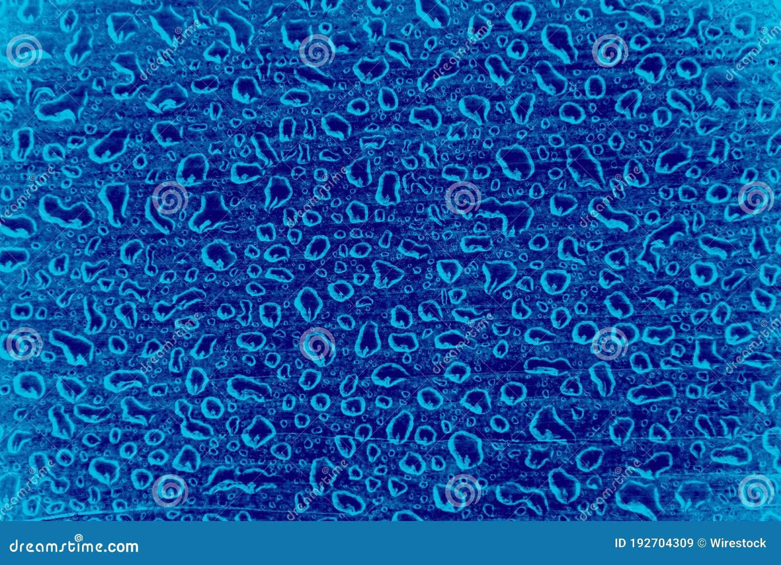 Illustration of Raindrops Isolated on a Light Purple Background - Great ...