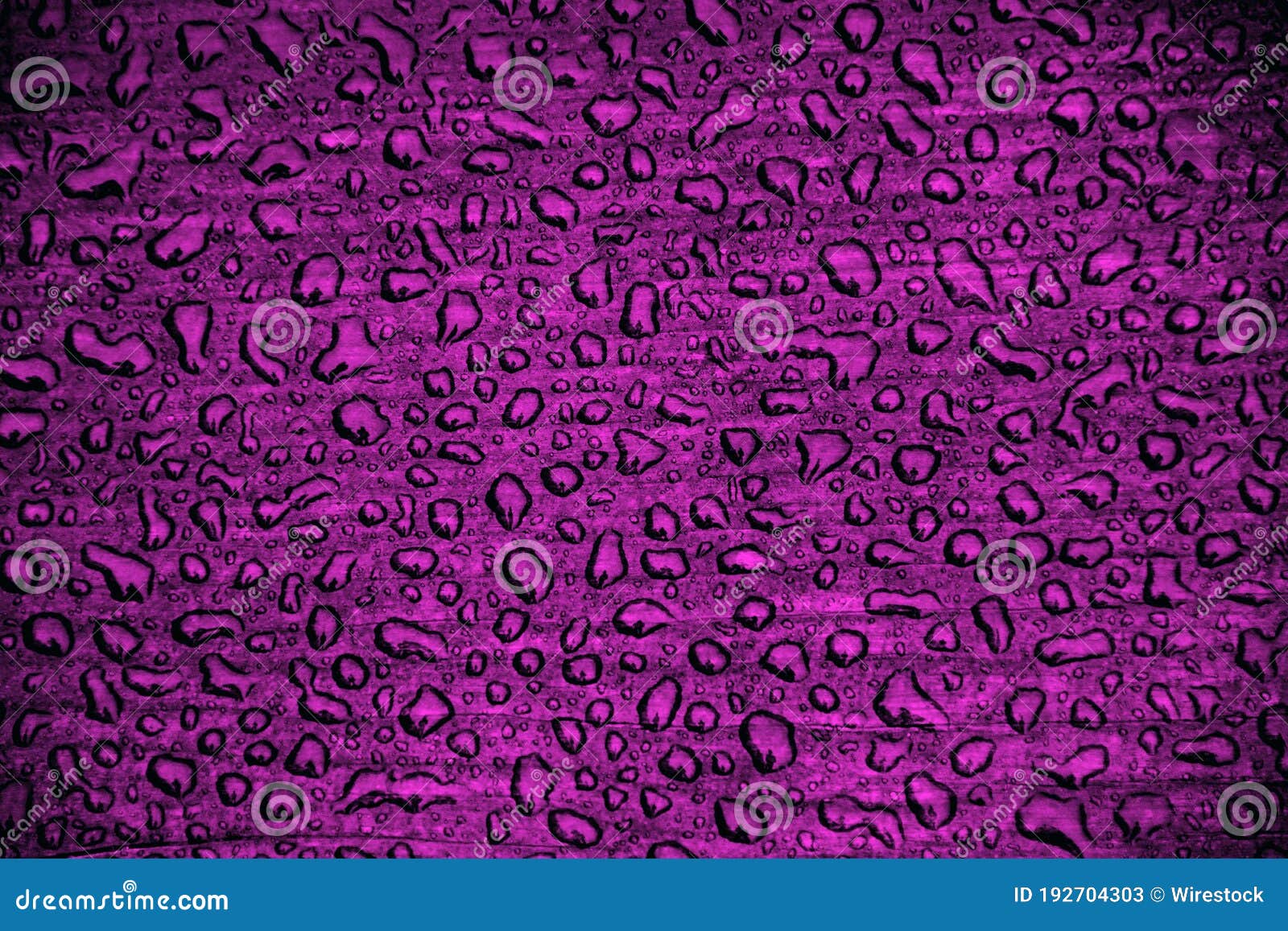 Illustration of Raindrops on Violet Background - Great for Wallpapers ...