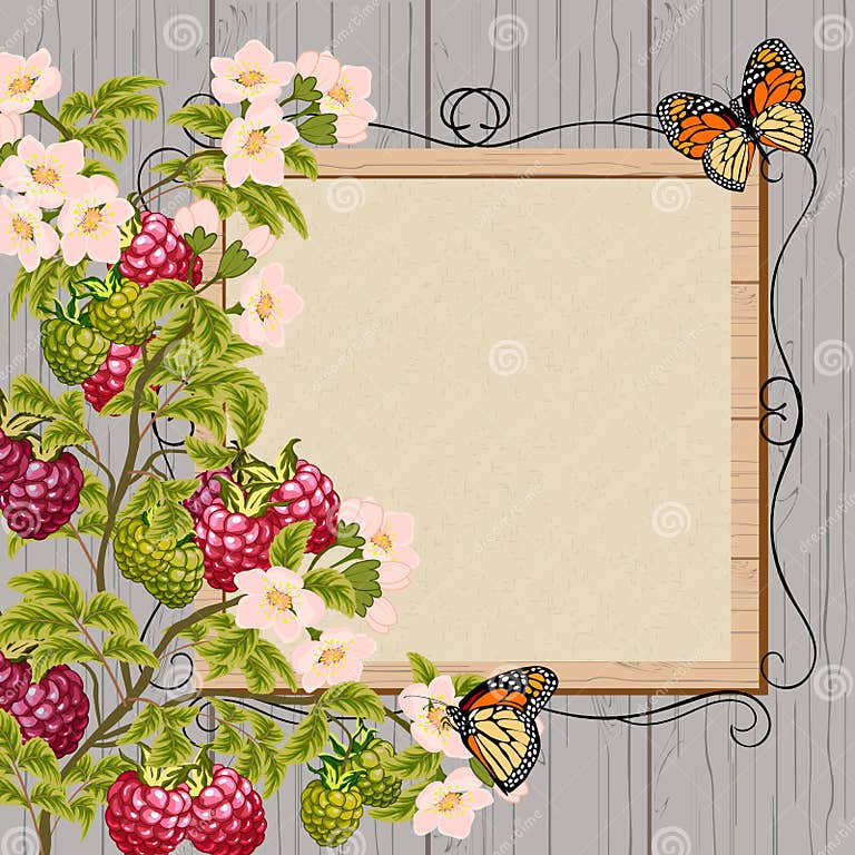 Illustration with Raspberries and Frame. Stock Vector - Illustration of ...