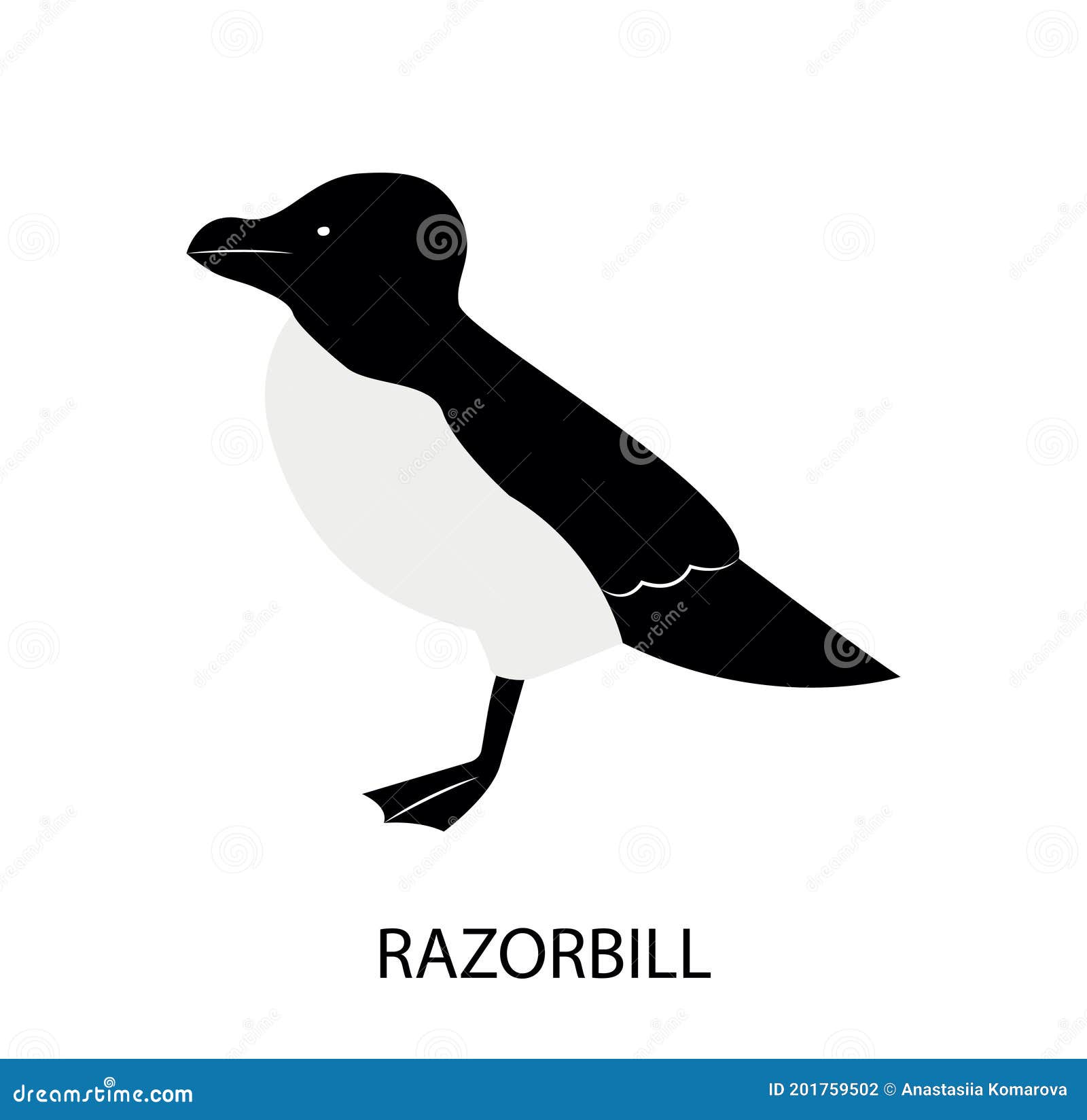 Razorbill Cartoons, Illustrations & Vector Stock Images - 33 Pictures ...
