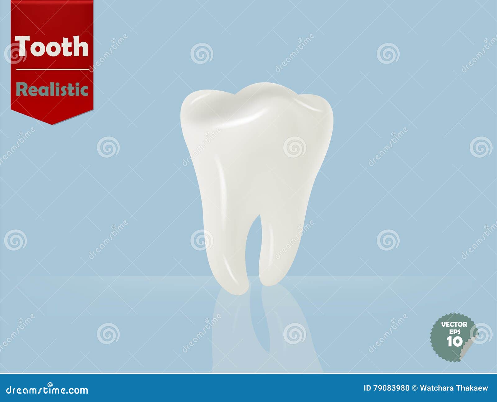 Illustration of Realistic Beautiful Tooth and Reflection Shadow Stock ...