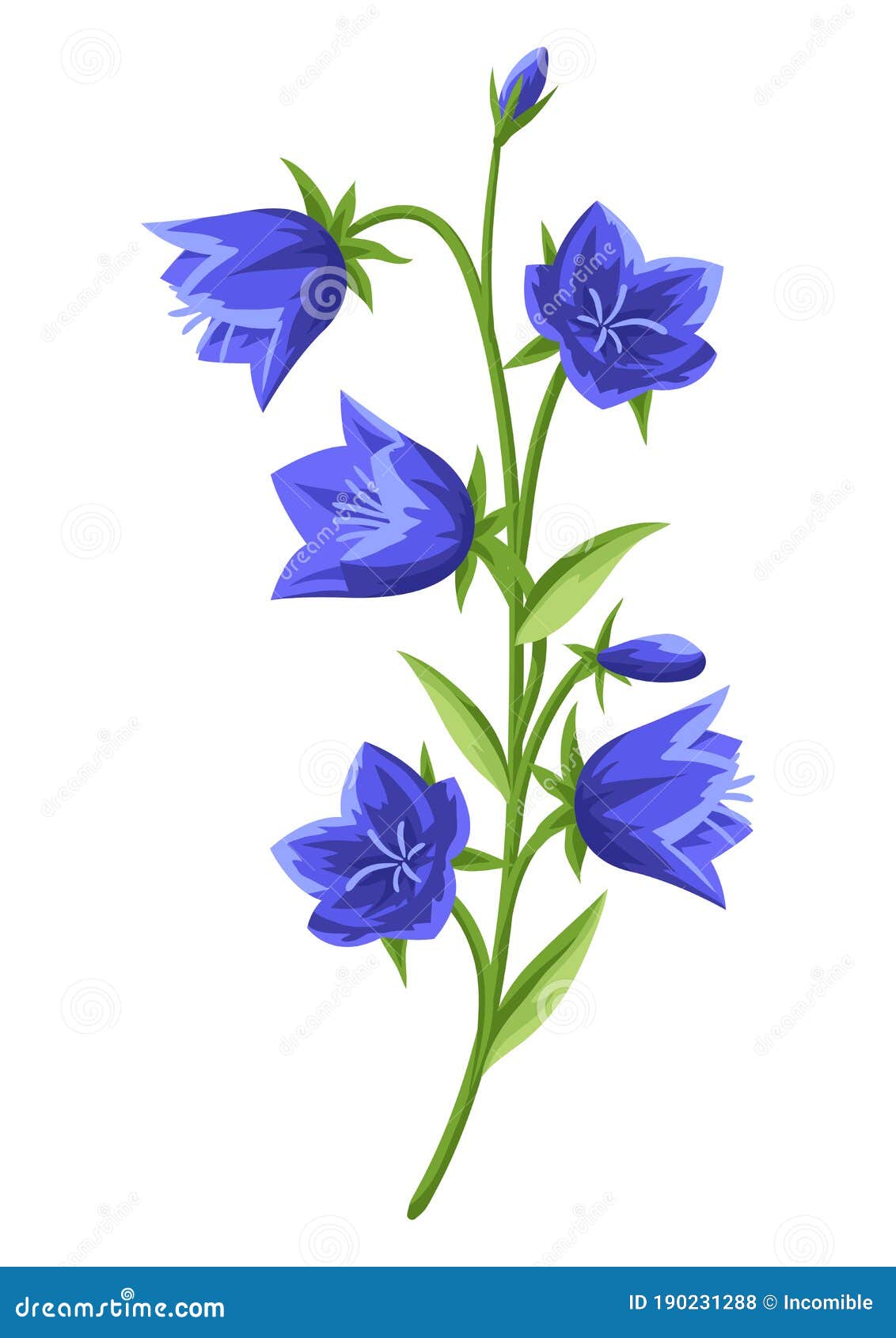 Illustration of Realistic Bells. Beautiful Flower. Stock Vector ...