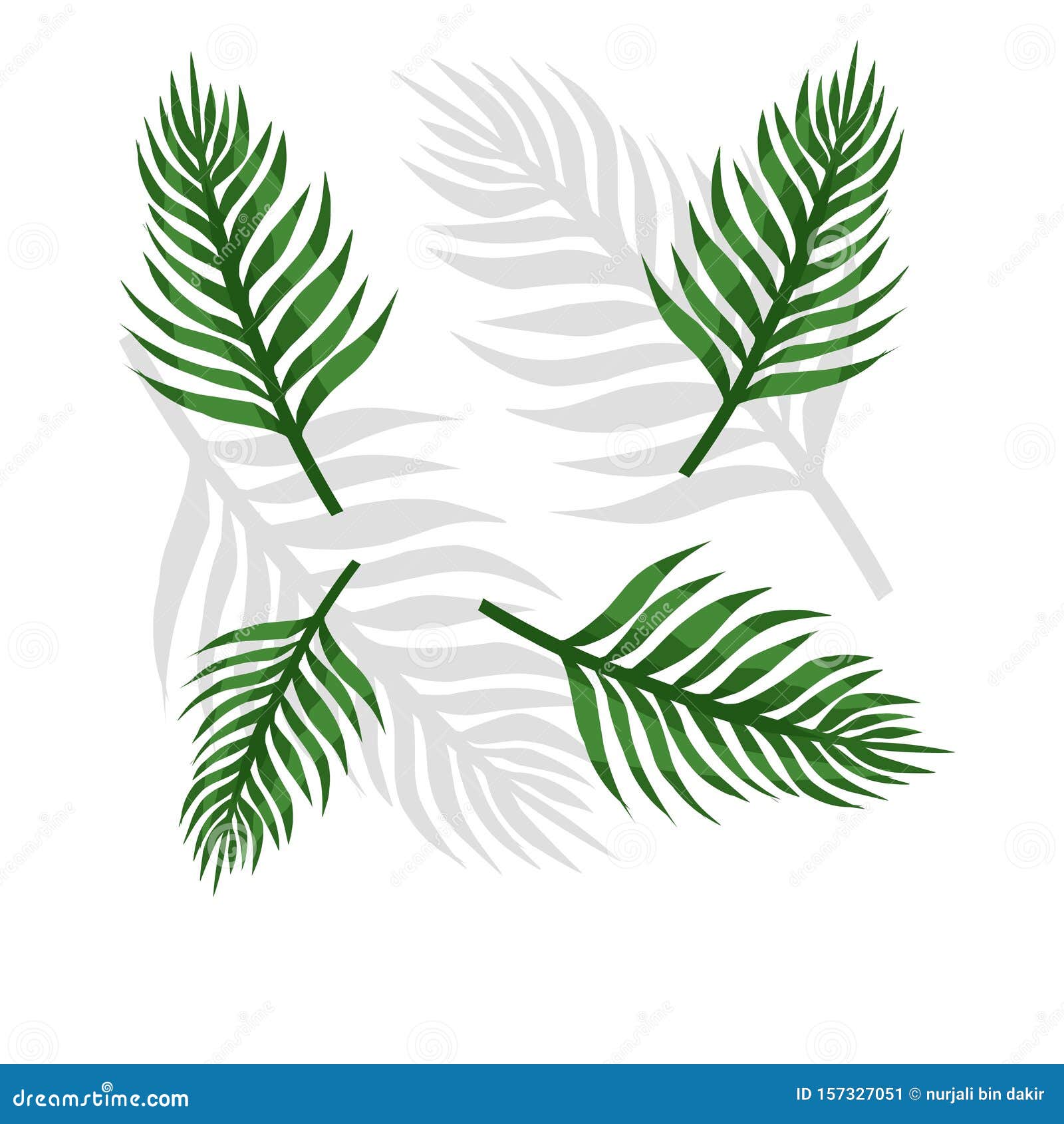 Illustration of Realistic Coconut Leaves Pattern Background Stock ...