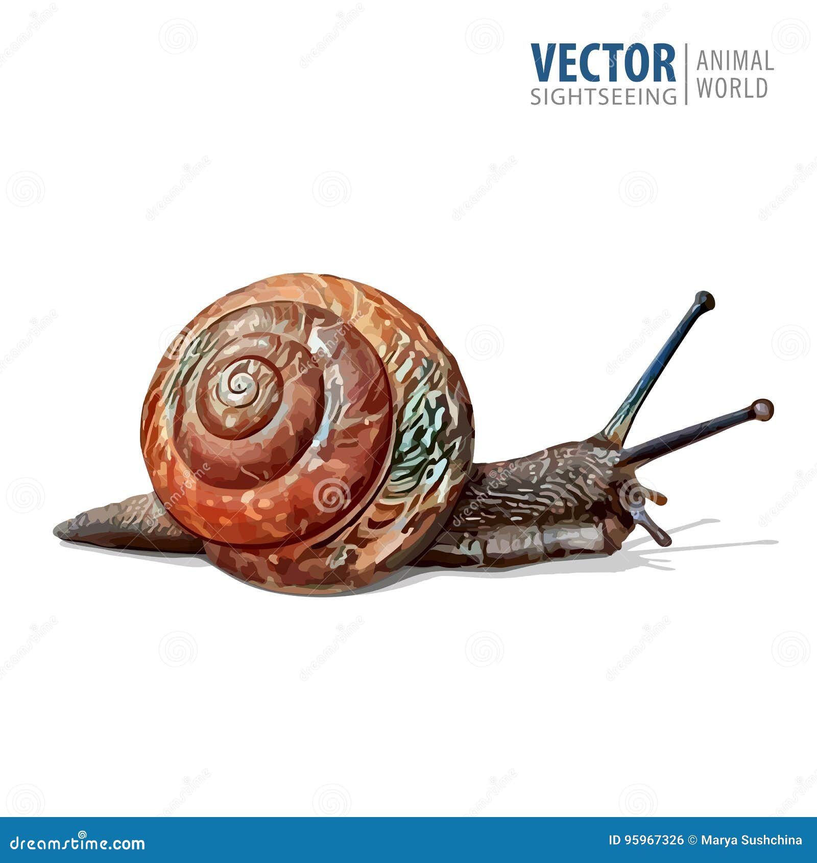 Snail Vector Drawing. Hand Drawn Sketch On A Watercolor Blue Background ...