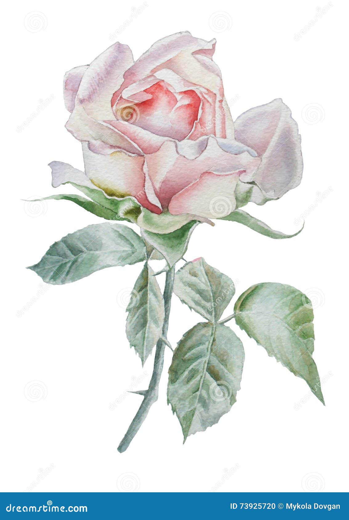 Realistic Rose Flower Bouquet On Circle Oval Frame Sketch Clipart ...