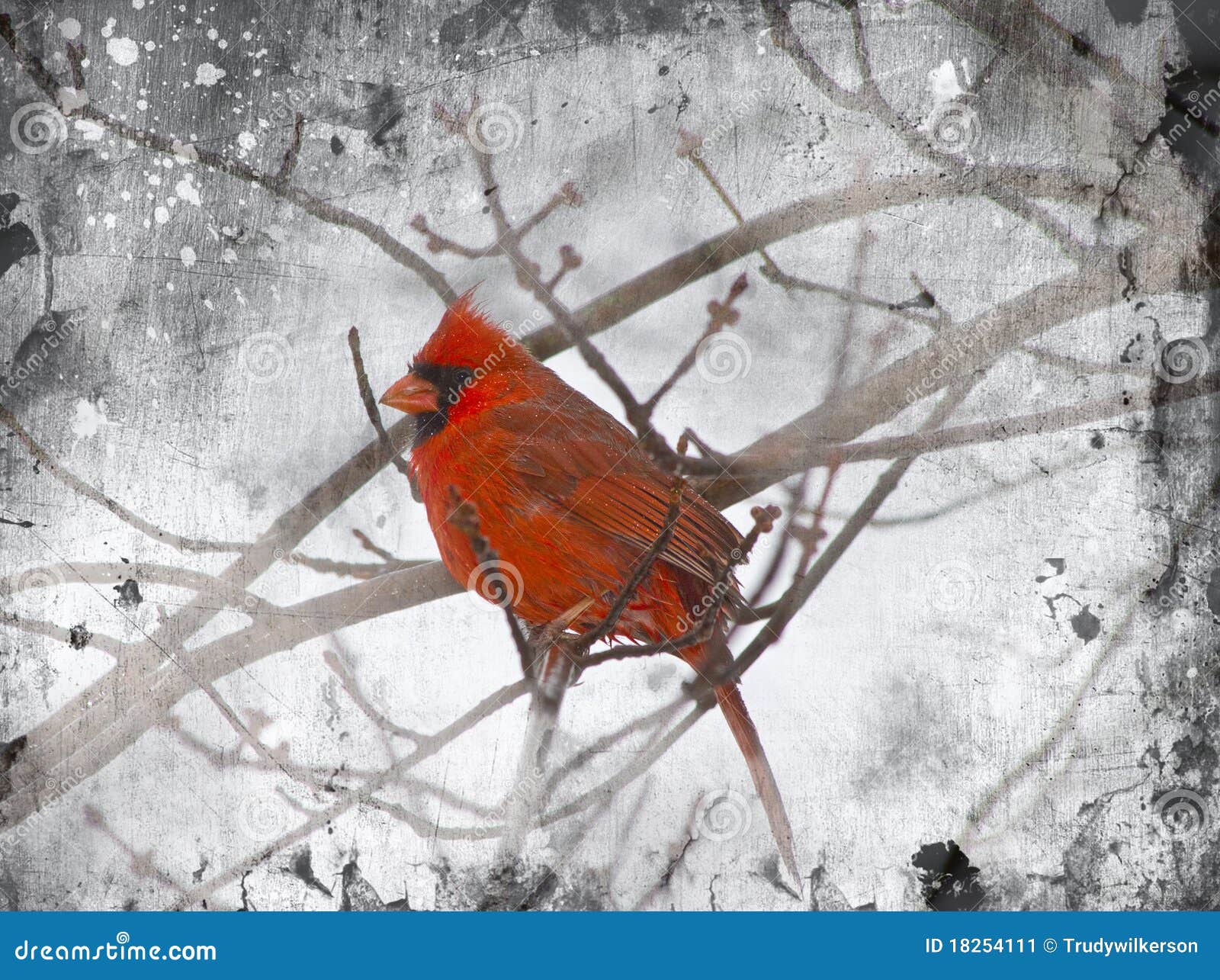 Illustration - Red Cardinal Stock Illustration - Illustration of little ...