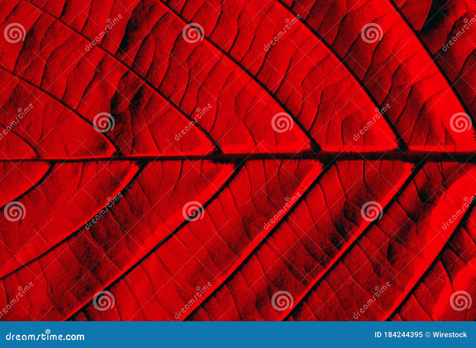 Illustration of Red Cracked Patterns - Great for Wallpapers Stock Image ...