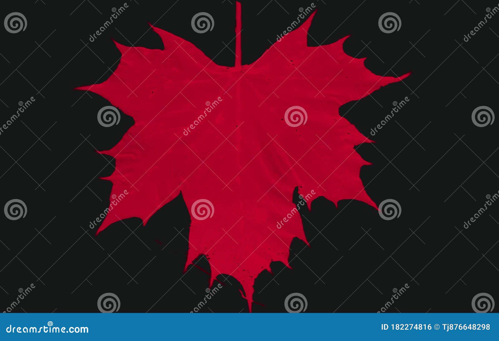 Illustration of Red Isolated Maple Leaf Tree Black Background. Autumn ...