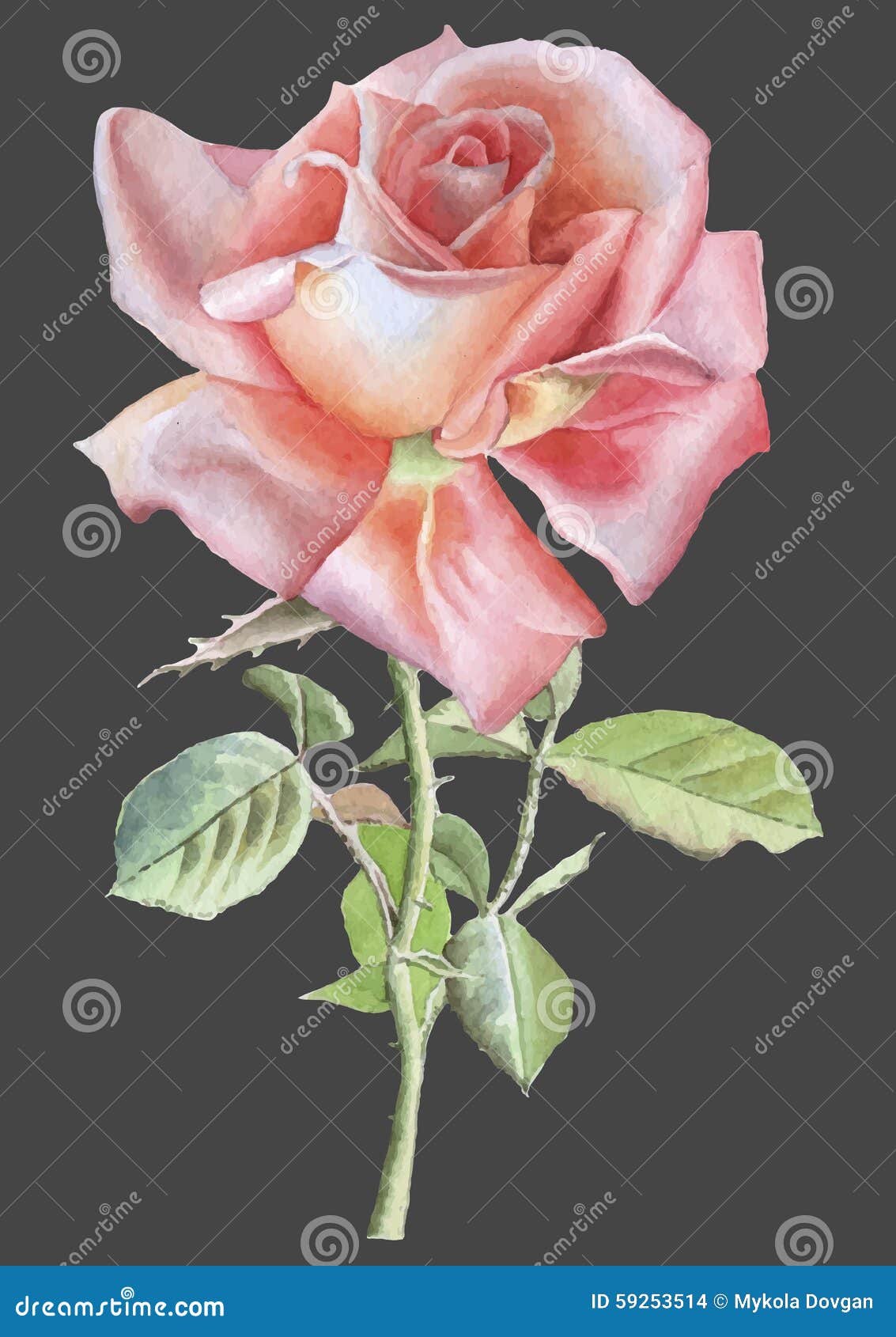 Illustration with Red Realistic Rose Stock Vector - Illustration of ...