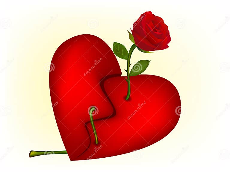 Illustration of Red Rose through a Broken Heart Stock Illustration ...