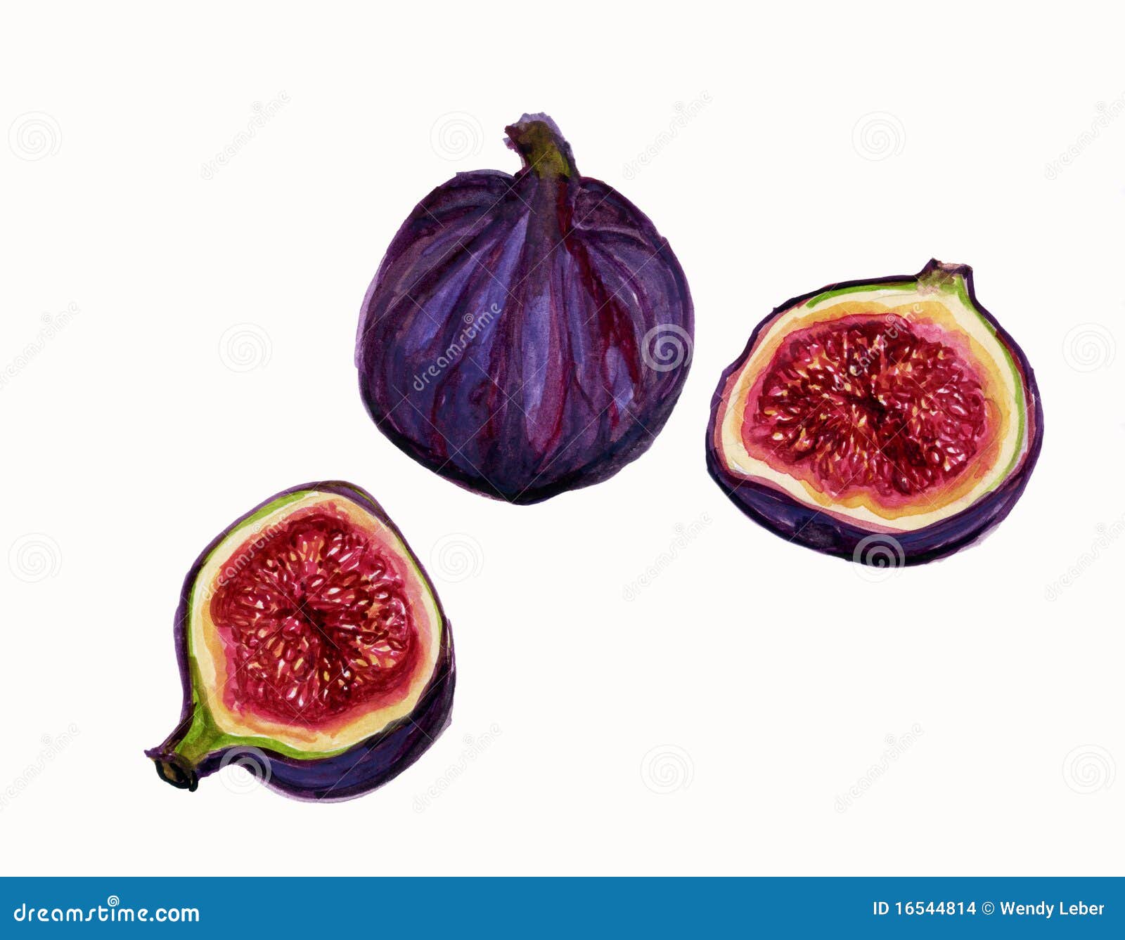 Red Figs Stock Illustrations – 992 Red Figs Stock Illustrations ...