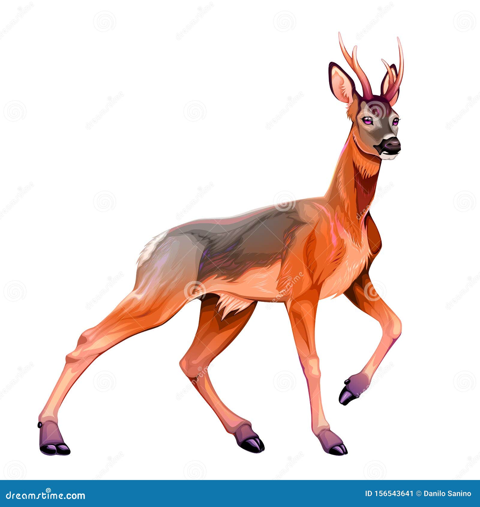 Illustration of the Roe Deer Stock Vector - Illustration of wood, fairy ...